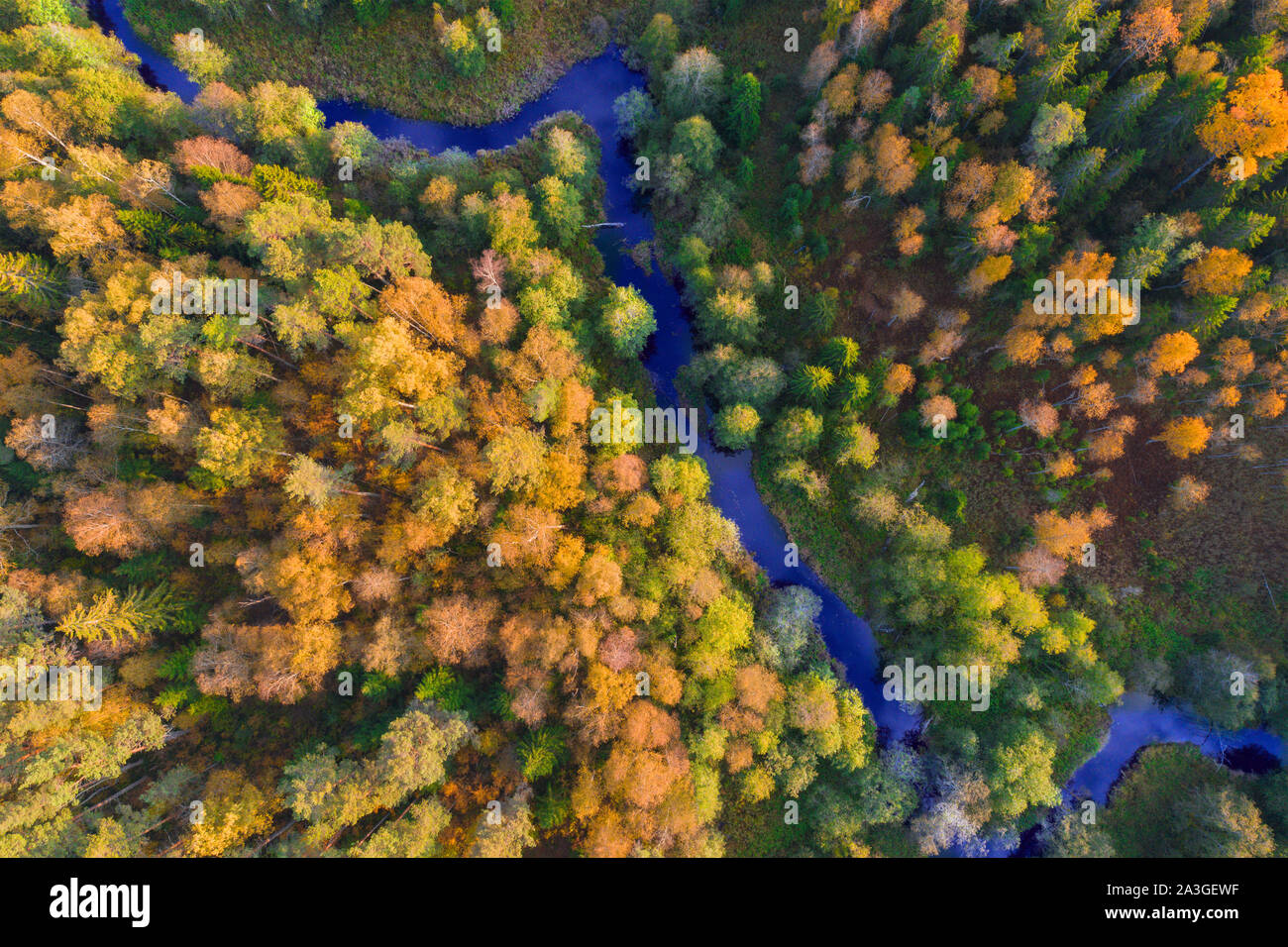 Aerial view of river and autumn forest Stock Photo - Alamy