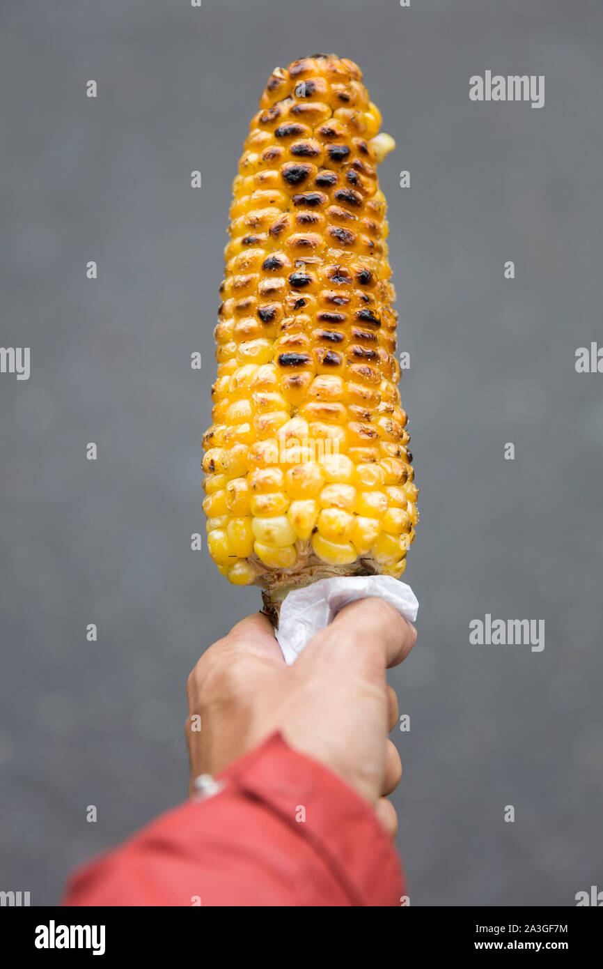 Hand hold sweet corns on hi-res stock photography and images - Alamy
