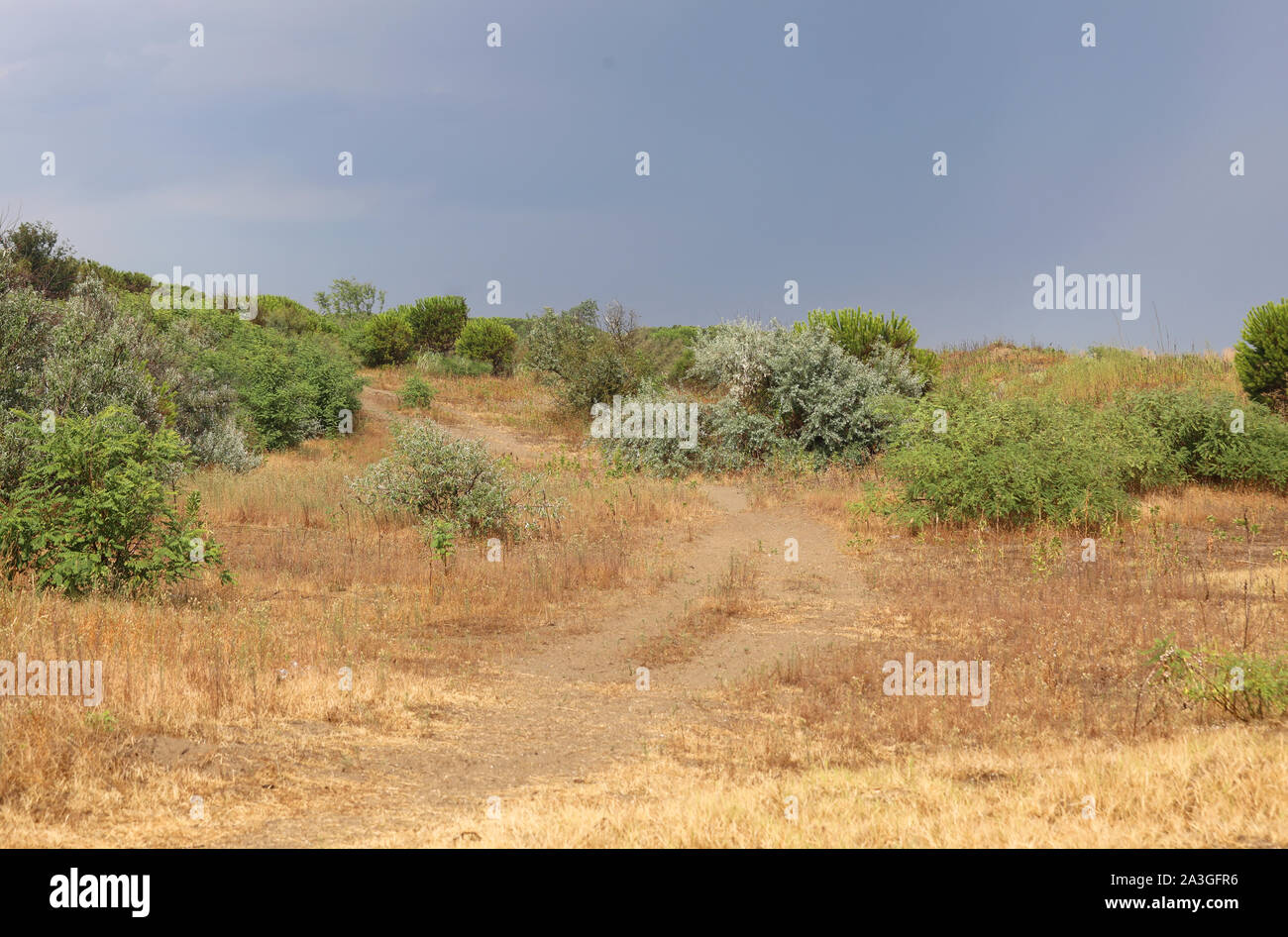 Mediterranean landscape with vegetation shrubs called Mediterranean ...