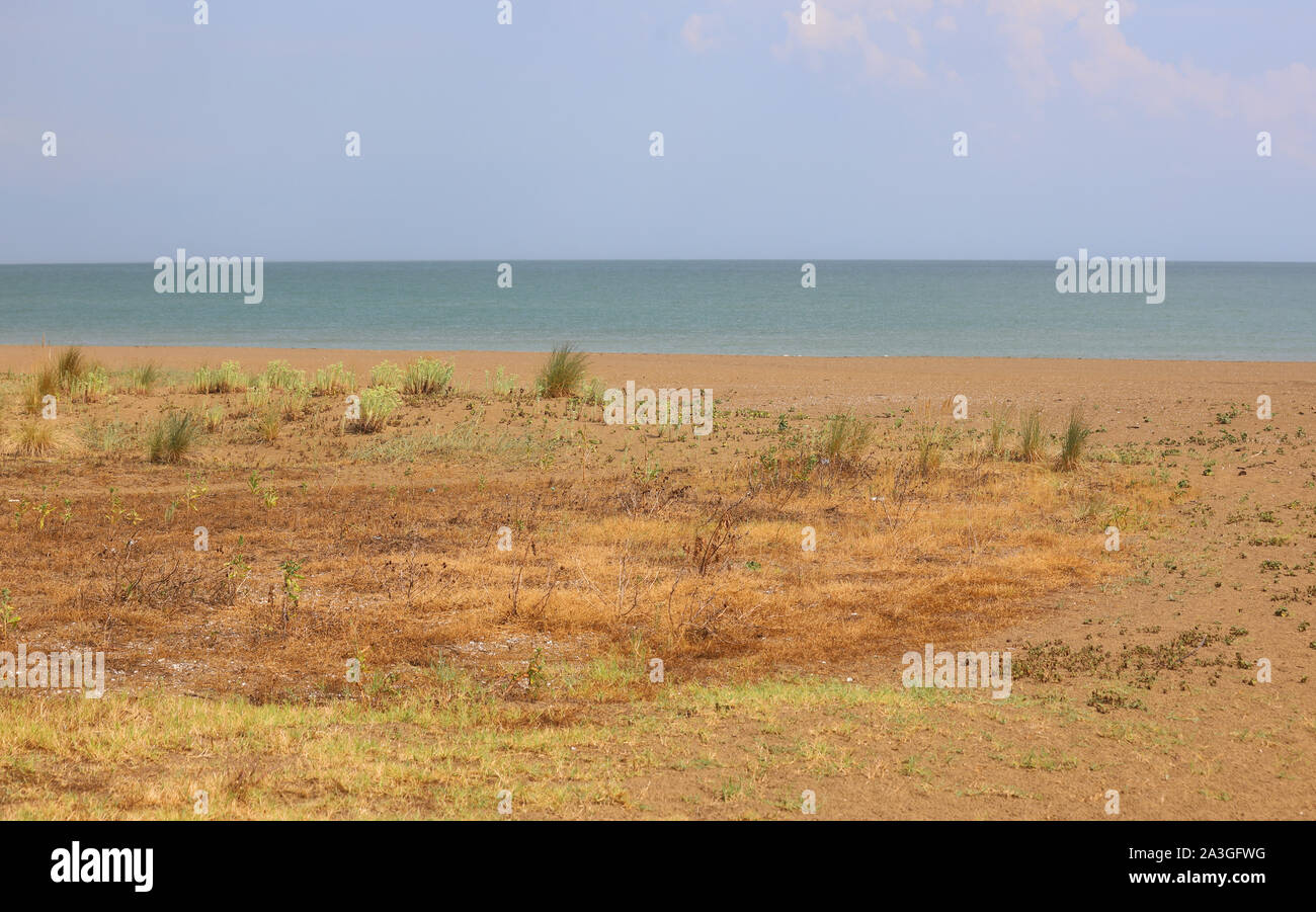 Mediterranean landscape with vegetation shrubs called Mediterranean ...