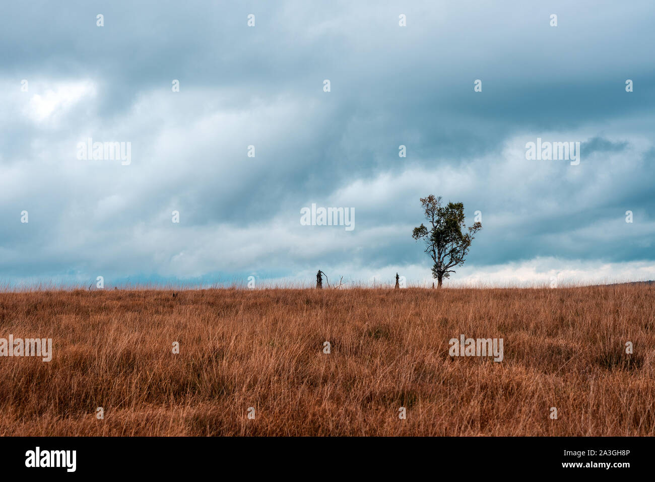 Tranquil fens hi-res stock photography and images - Alamy
