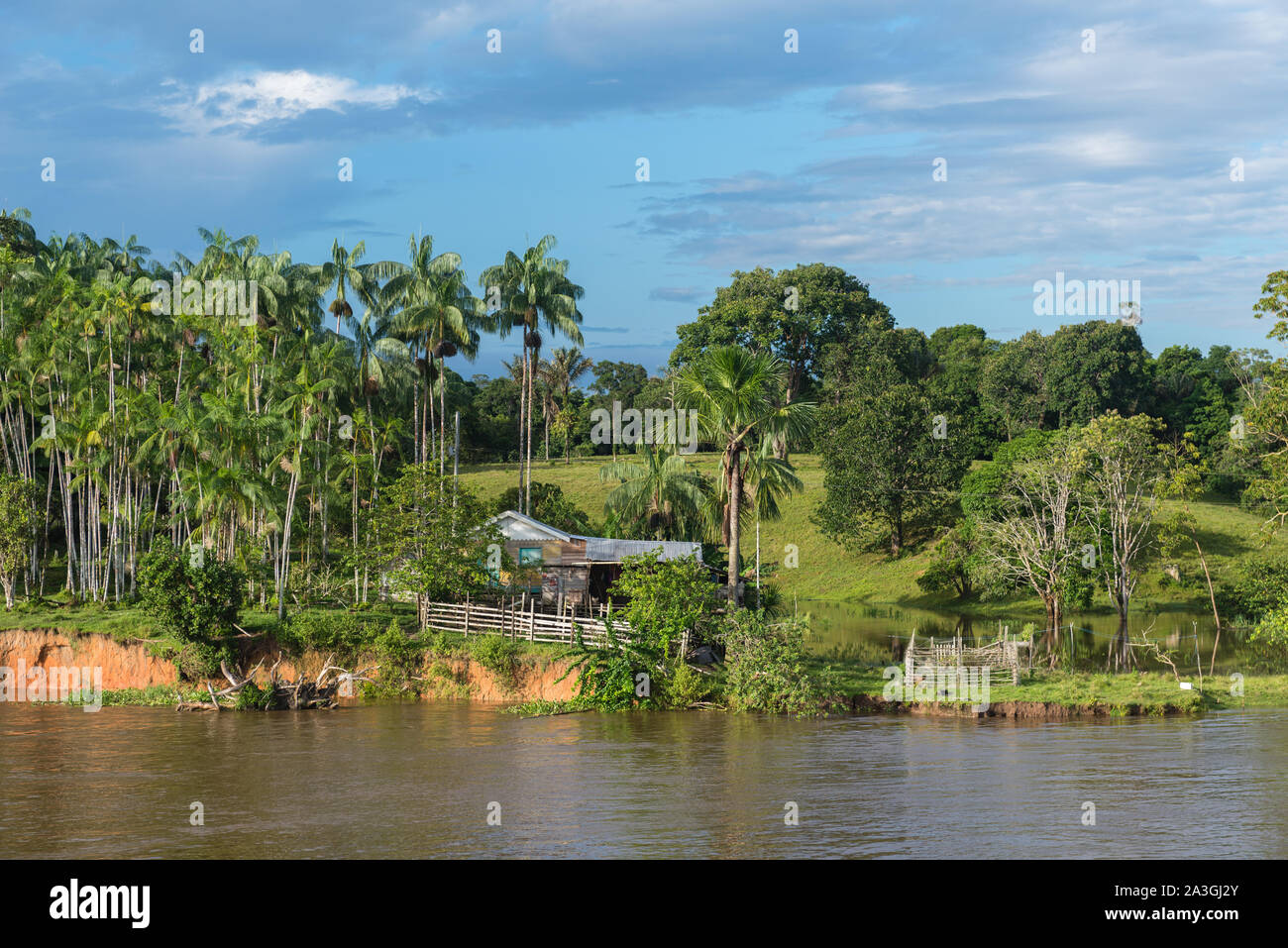 A two-day-riverboat trip from Manaus to Tefé on the Amazonas River or ...