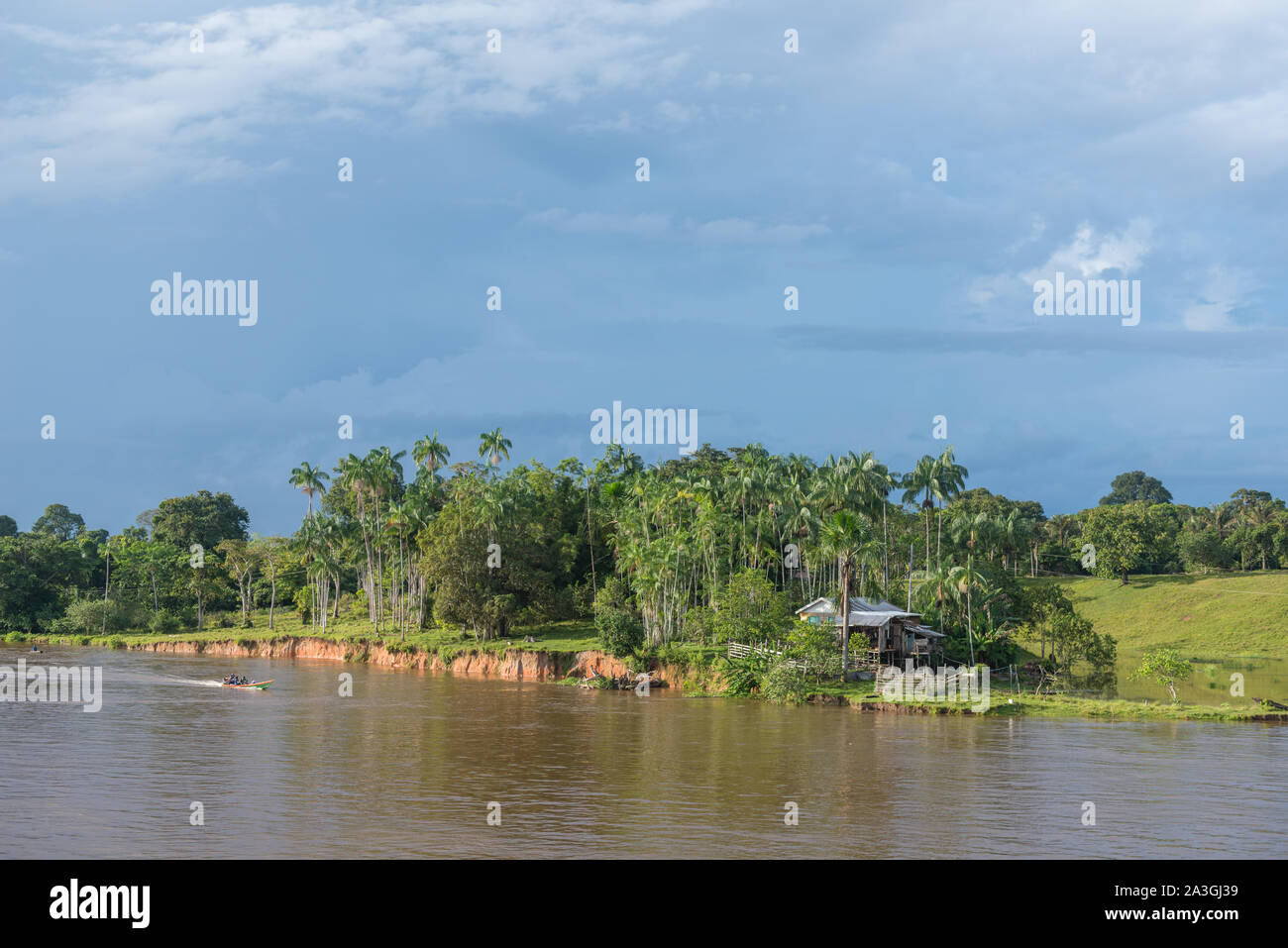 A two-day-riverboat trip from Manaus to Tefé on the Amazonas River or ...