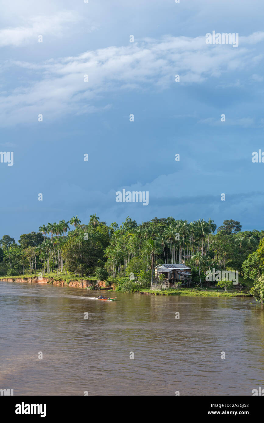 A two-day-riverboat trip from Manaus to Tefé on the Amazonas River or ...