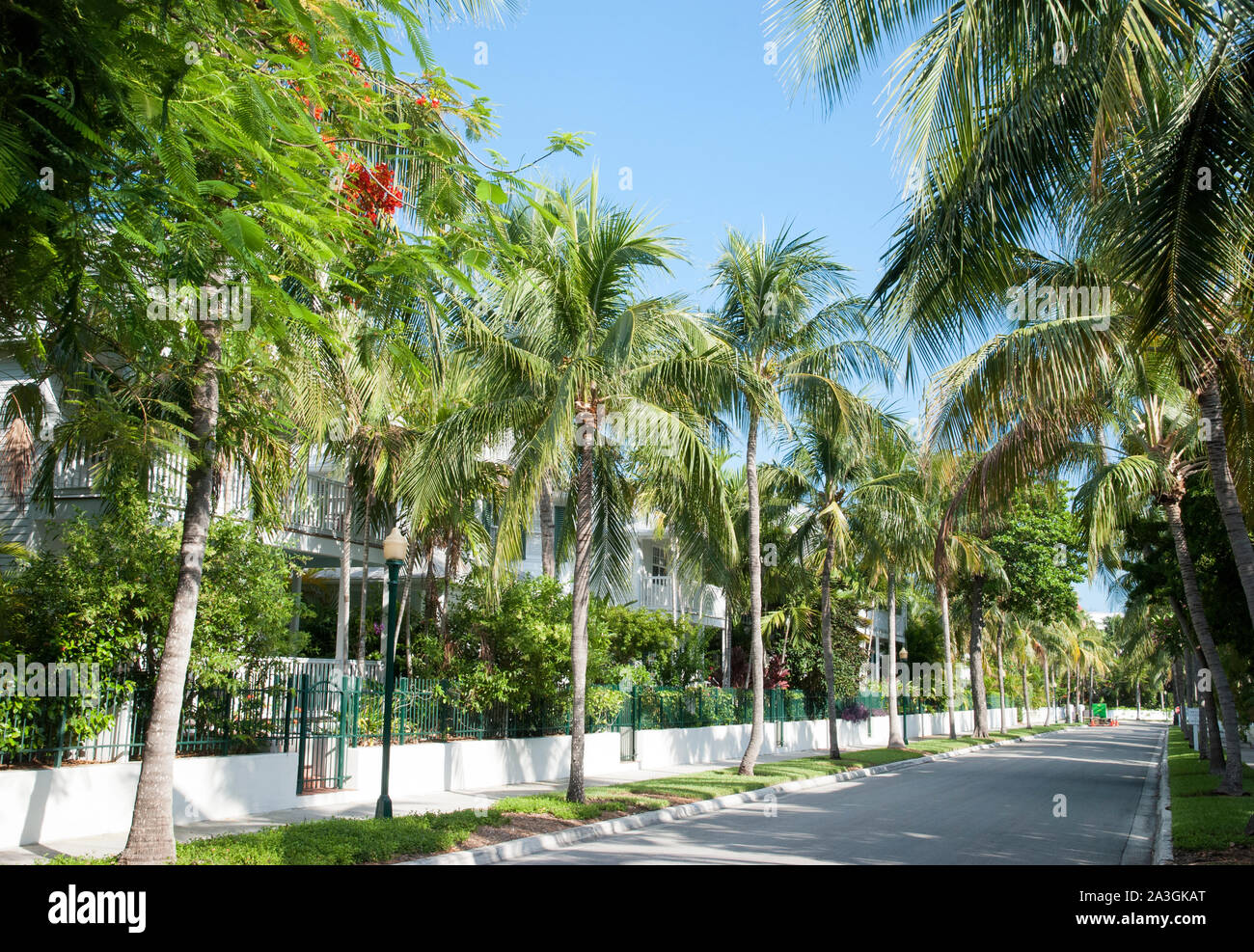 The green lush tropical street in Key West, the southernmost town in ...