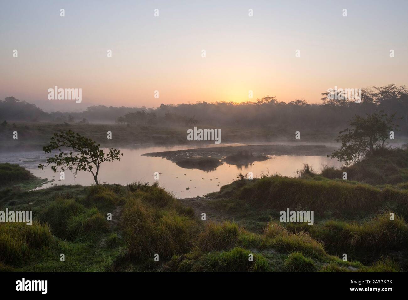 Nepal, Chitwan National Park, sunrise on the misty river Stock Photo ...