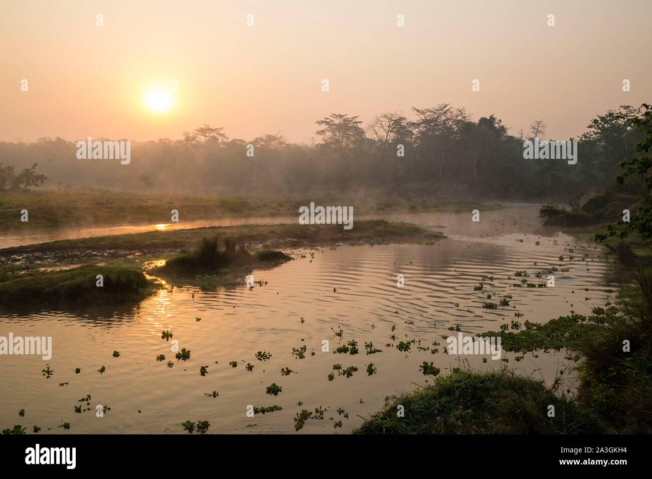 Nepal, Chitwan National Park, sunrise on the misty river Stock Photo ...
