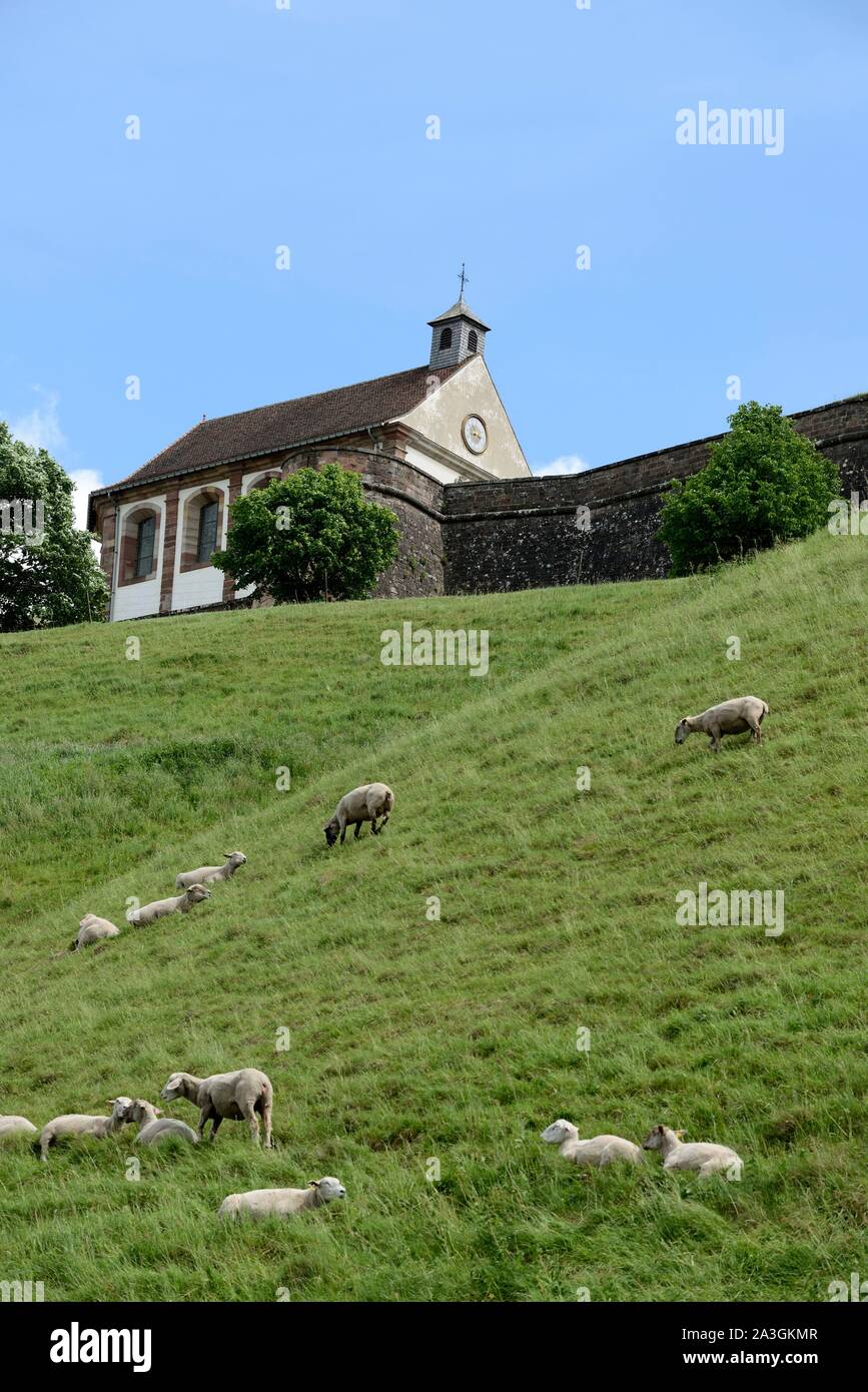 Bitche citadel castle hi-res stock photography and images - Alamy