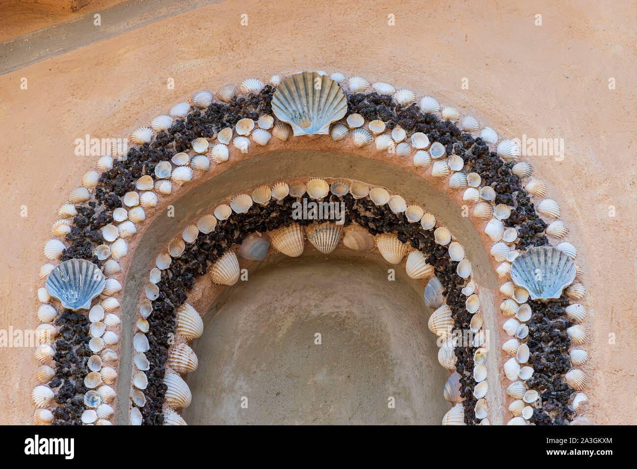 Five seashells hi-res stock photography and images - Alamy