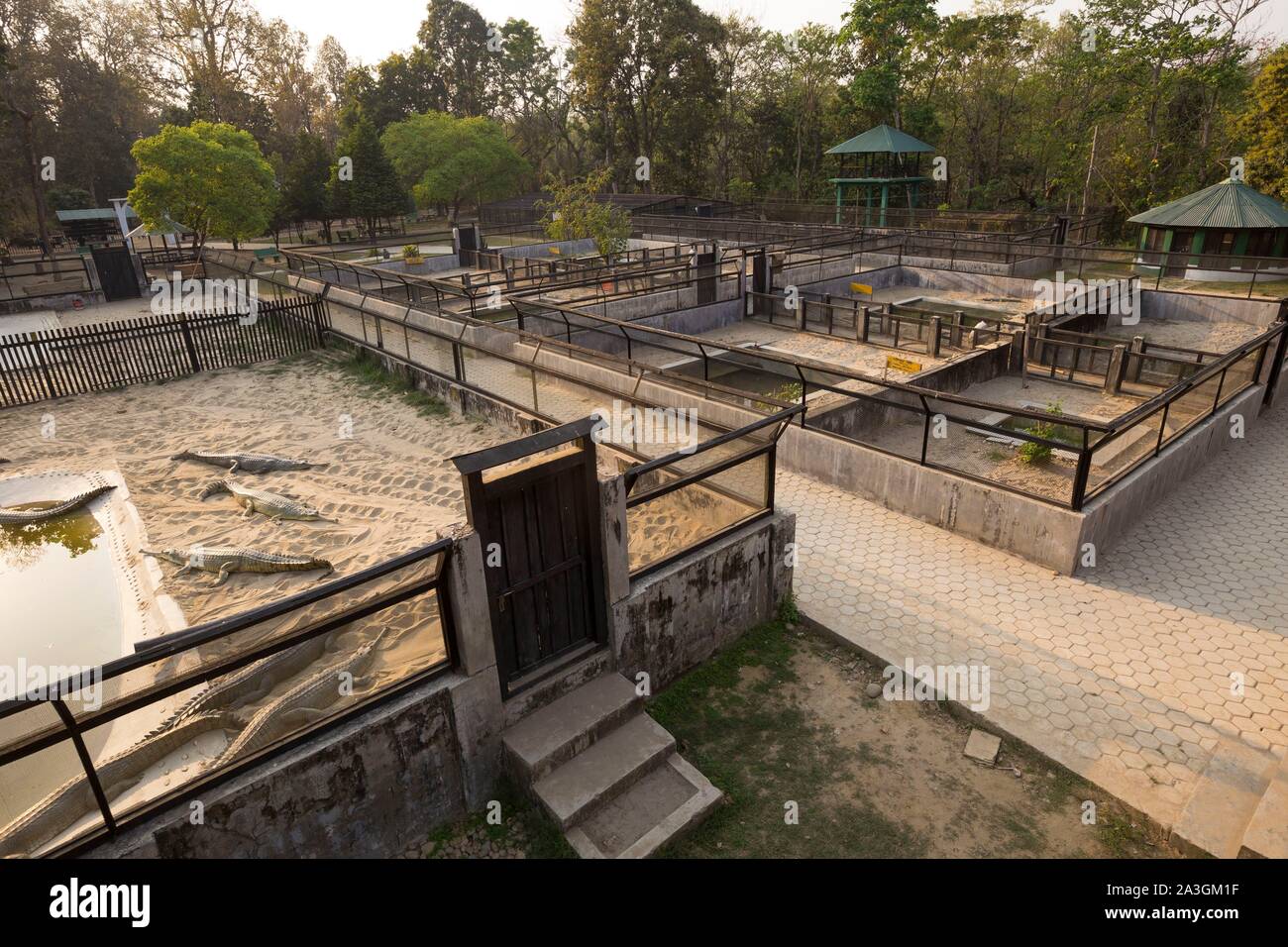 Nepal, Chitwan National Park, Gharial (Gavialis gangeticus) enclosures in the Gharial ...