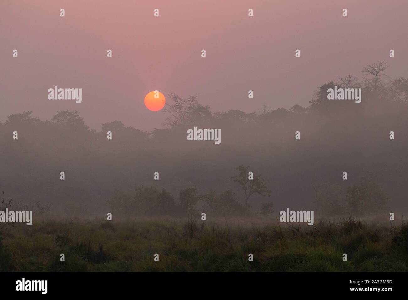 Savanna in nepal hi-res stock photography and images - Alamy