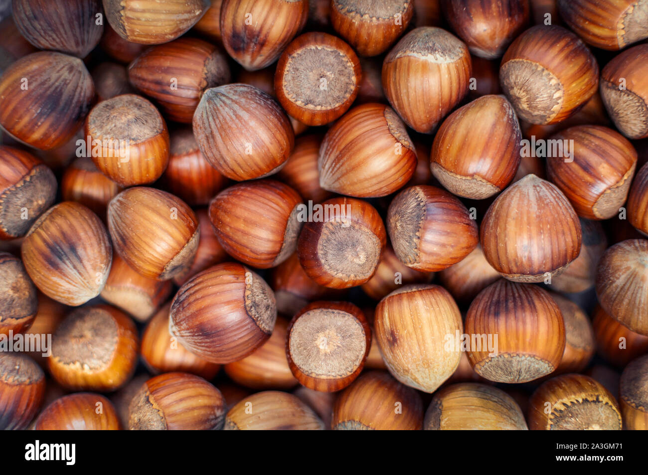 Roasted hazelnuts in a shell, top view, close-up. Seasonal vegetarian ...