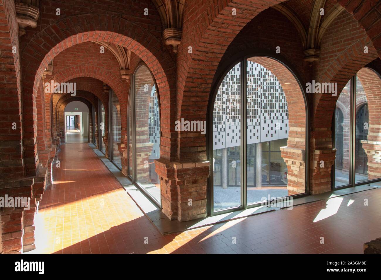 France, Nord, Lille, district of the Museum of Fine Arts, Sciences Po ...