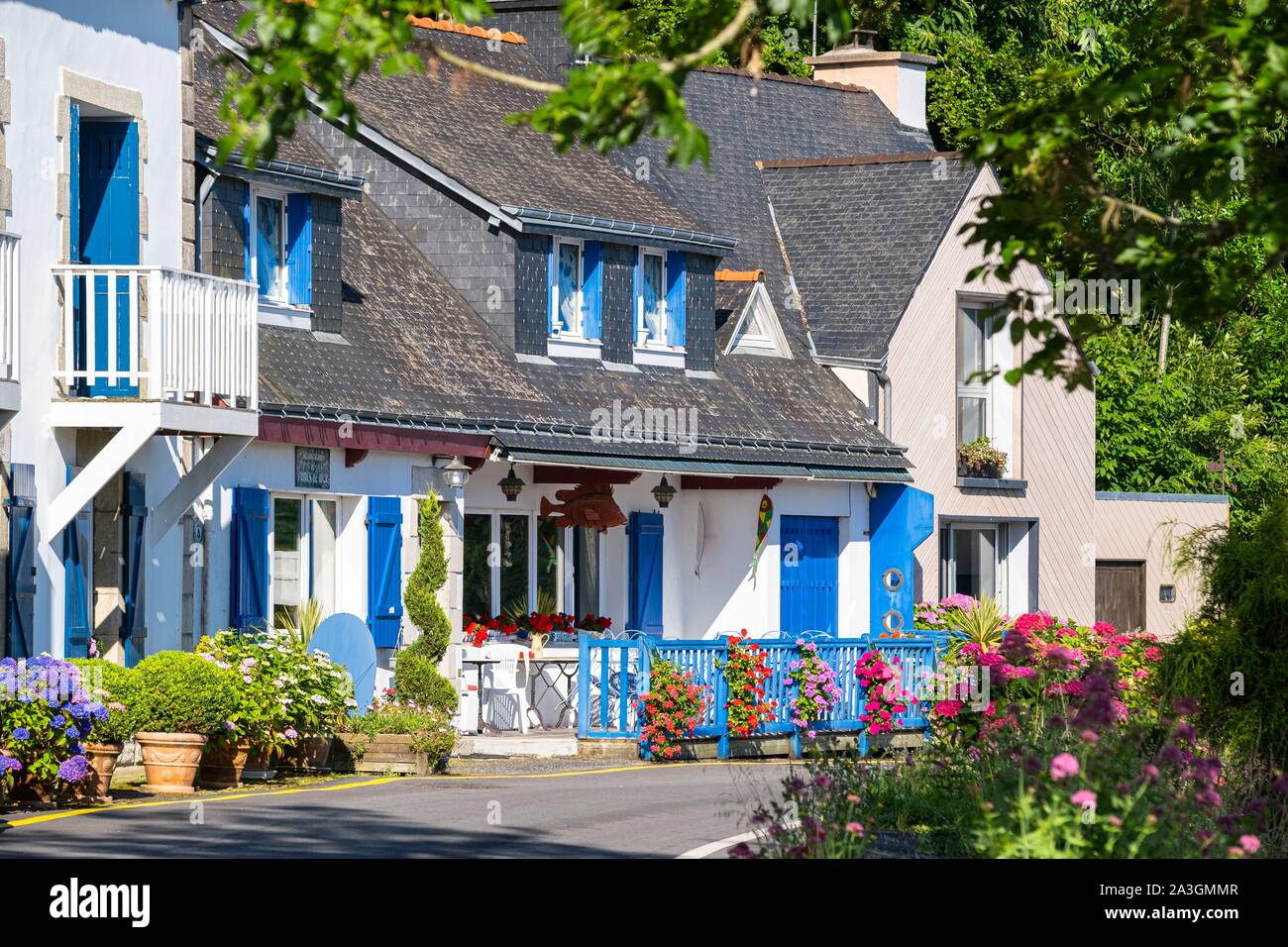 France, Finistere, Moelan-sur-Mer, Belon harbour Stock Photo - Alamy
