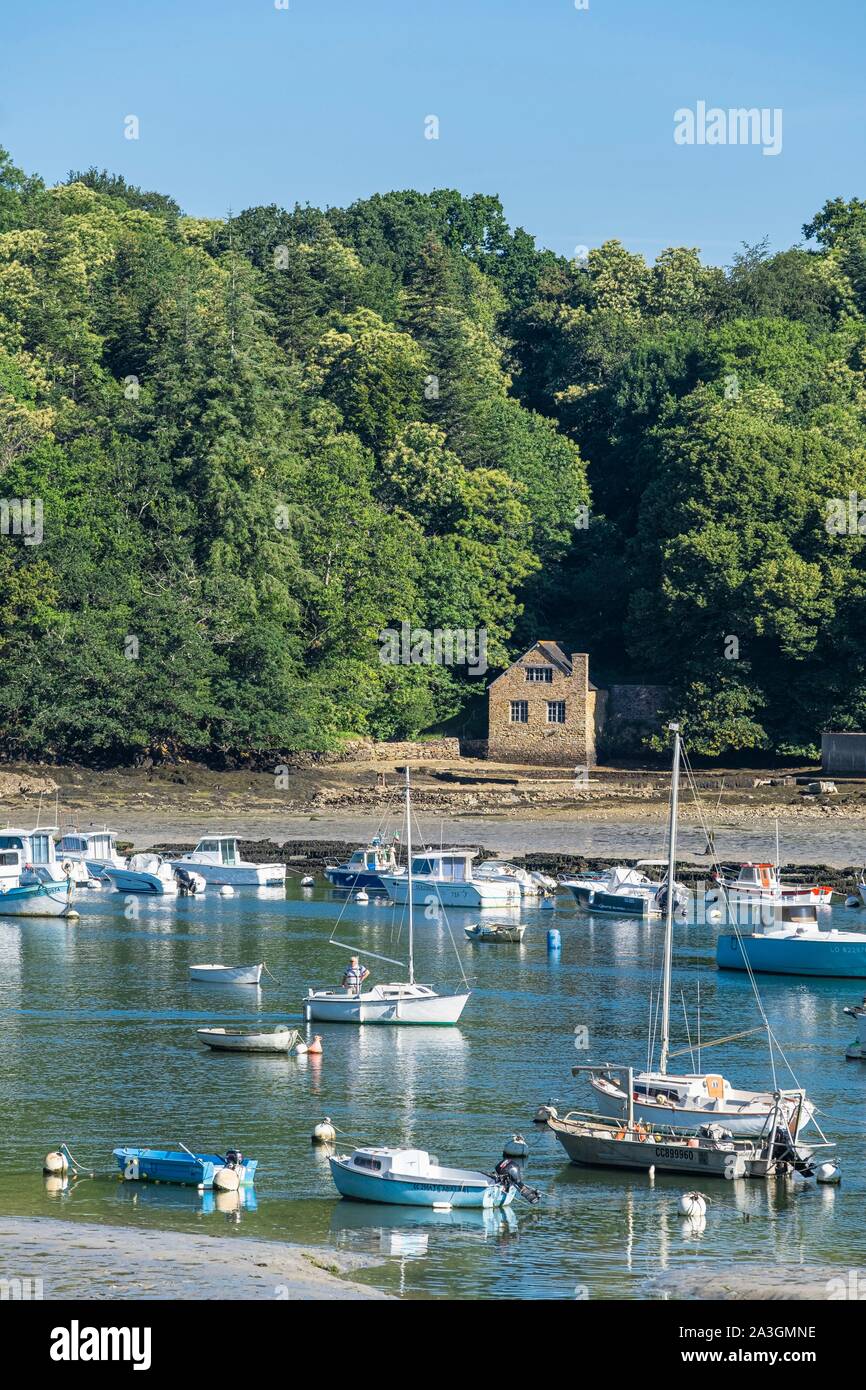 France, Finistere, Riec-sur-Belon, Belon harbour on Belon river Stock ...