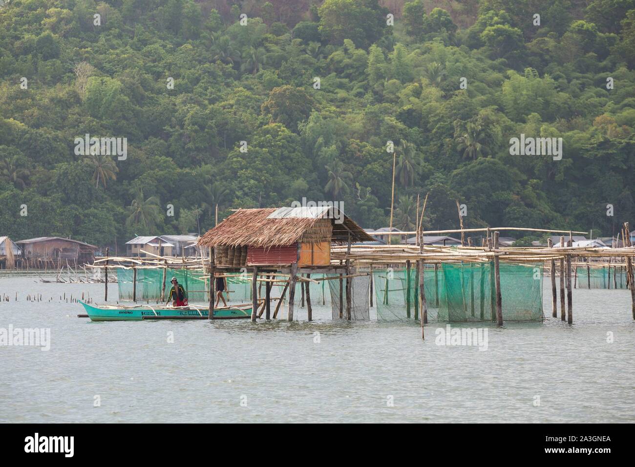 Philippines, Palawan, Malampaya Sound Protected Landscape and Seascape ...