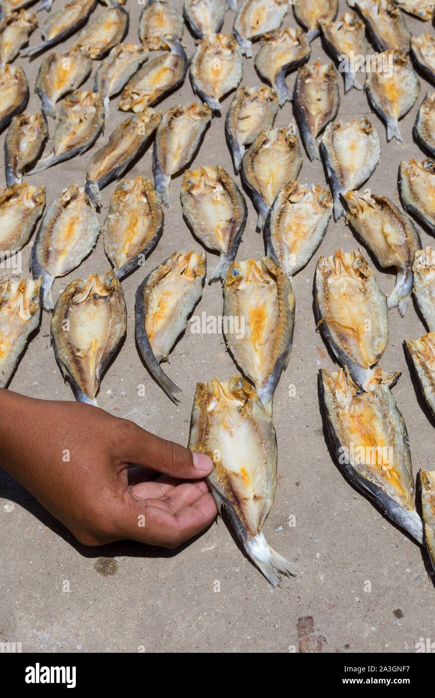 Philippines, Palawan, Malampaya Sound Protected Landscape and Seascape ...
