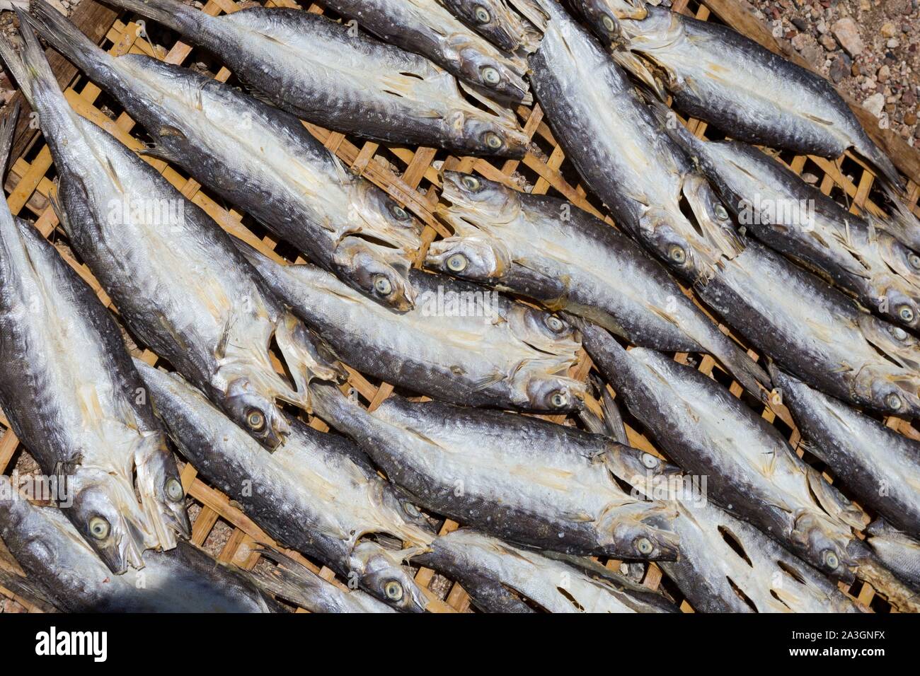 Philippines, Palawan, Malampaya Sound Protected Landscape and Seascape ...