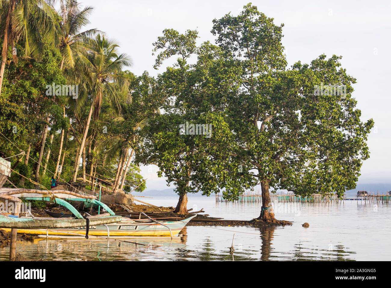 Philippines, Palawan, Malampaya Sound Protected Landscape and Seascape ...