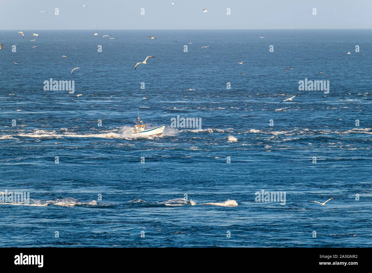 France, Finistere, Plogoff, Pointe du Raz, fishing boat in the Raz de ...