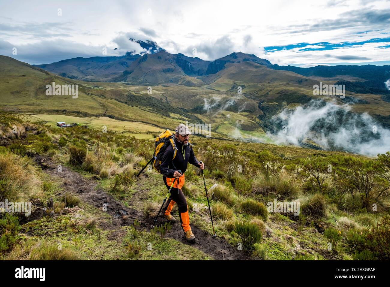 Colombia, Region of coffee, Salento, Cocora valley, Los Nevados ...