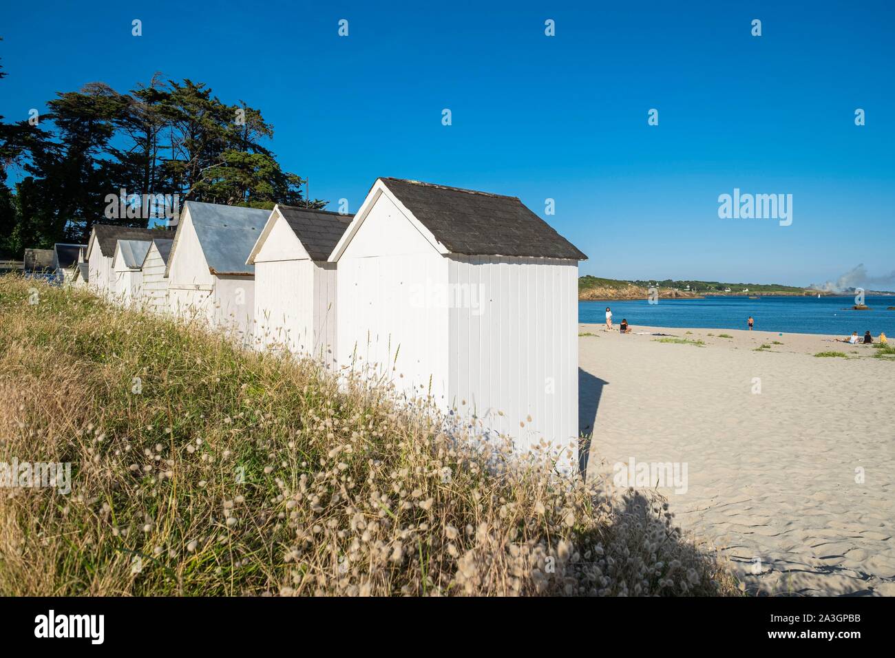 Port manech beach hi-res stock photography and images - Alamy