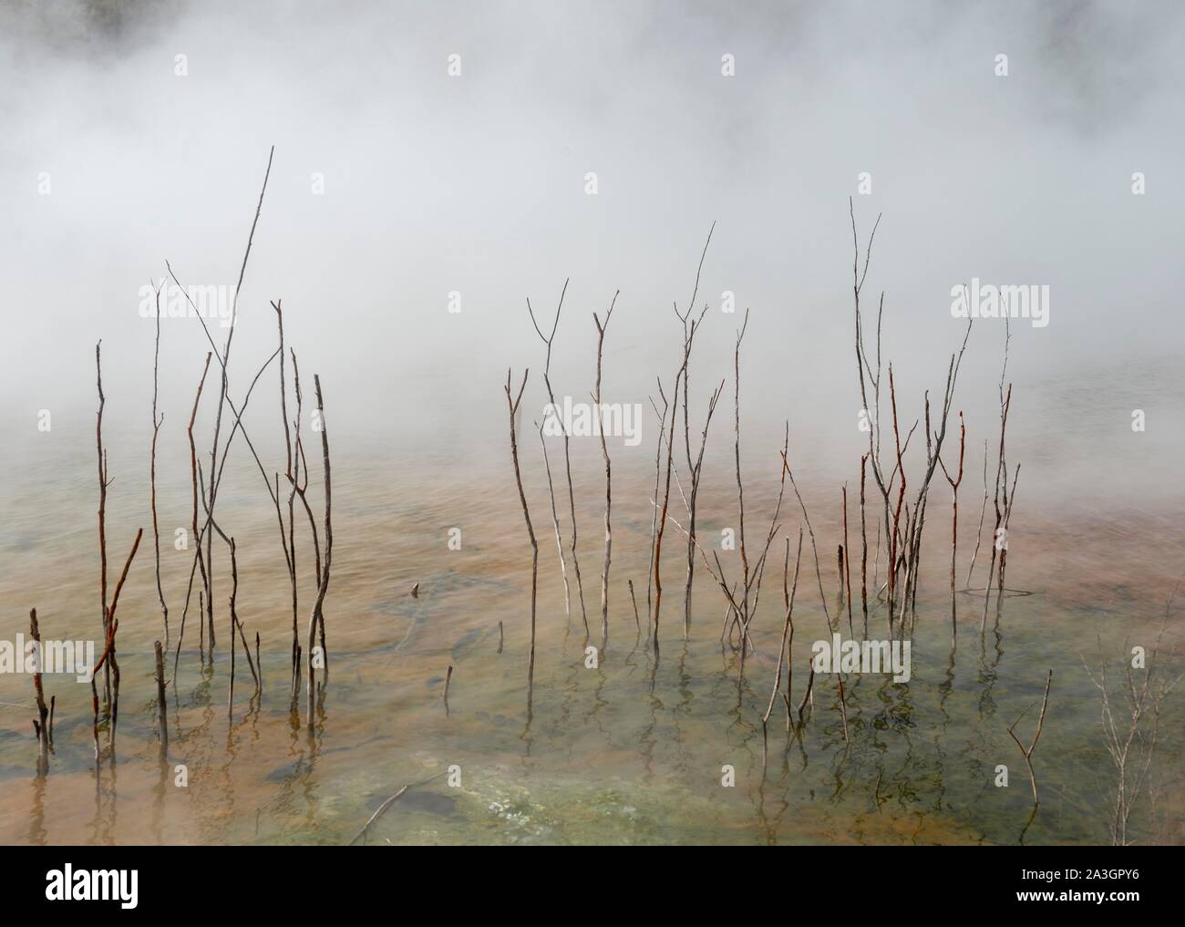 Thermal park mood hi-res stock photography and images - Alamy