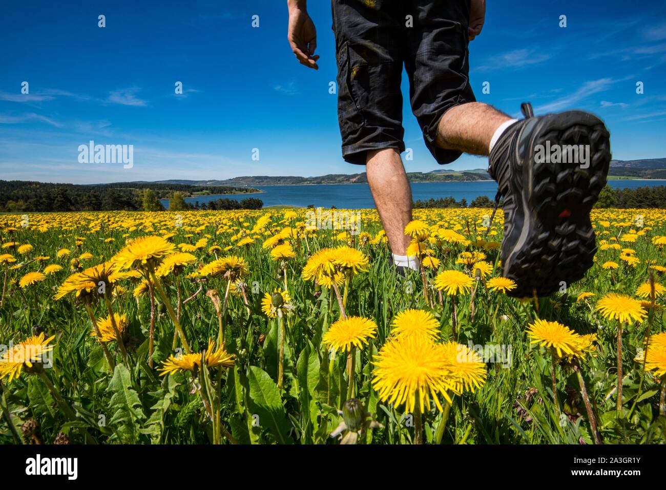 France, Lozere, Langogne, Lac de Naussac Stock Photo - Alamy