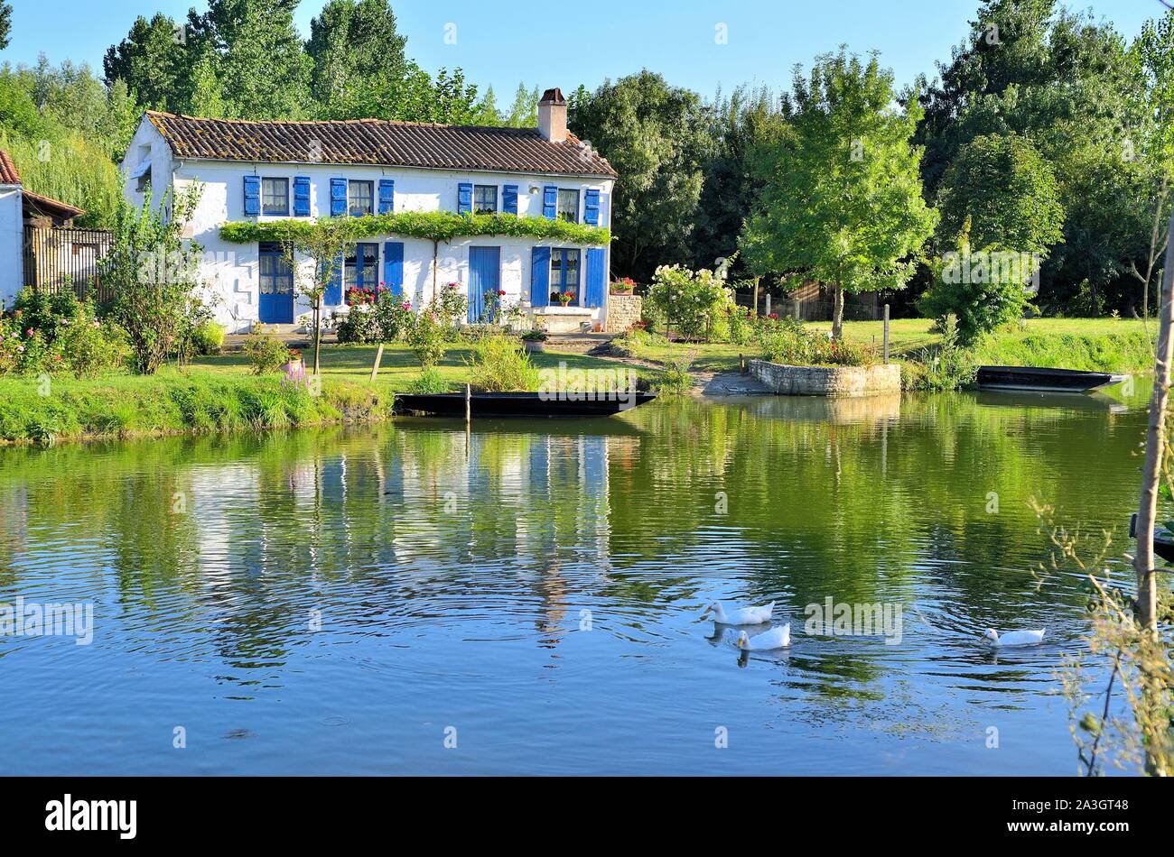 France, Deux Sevres, Marais Poitevin (Poitevin Marsh), Venise Verte ...