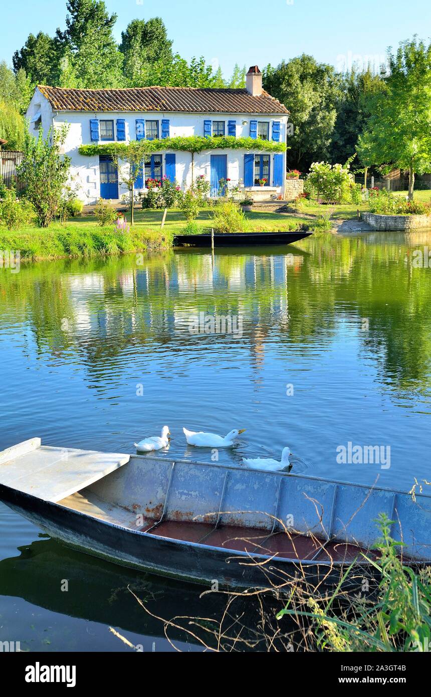 France, Deux Sevres, Marais Poitevin (Poitevin Marsh), Venise Verte ...