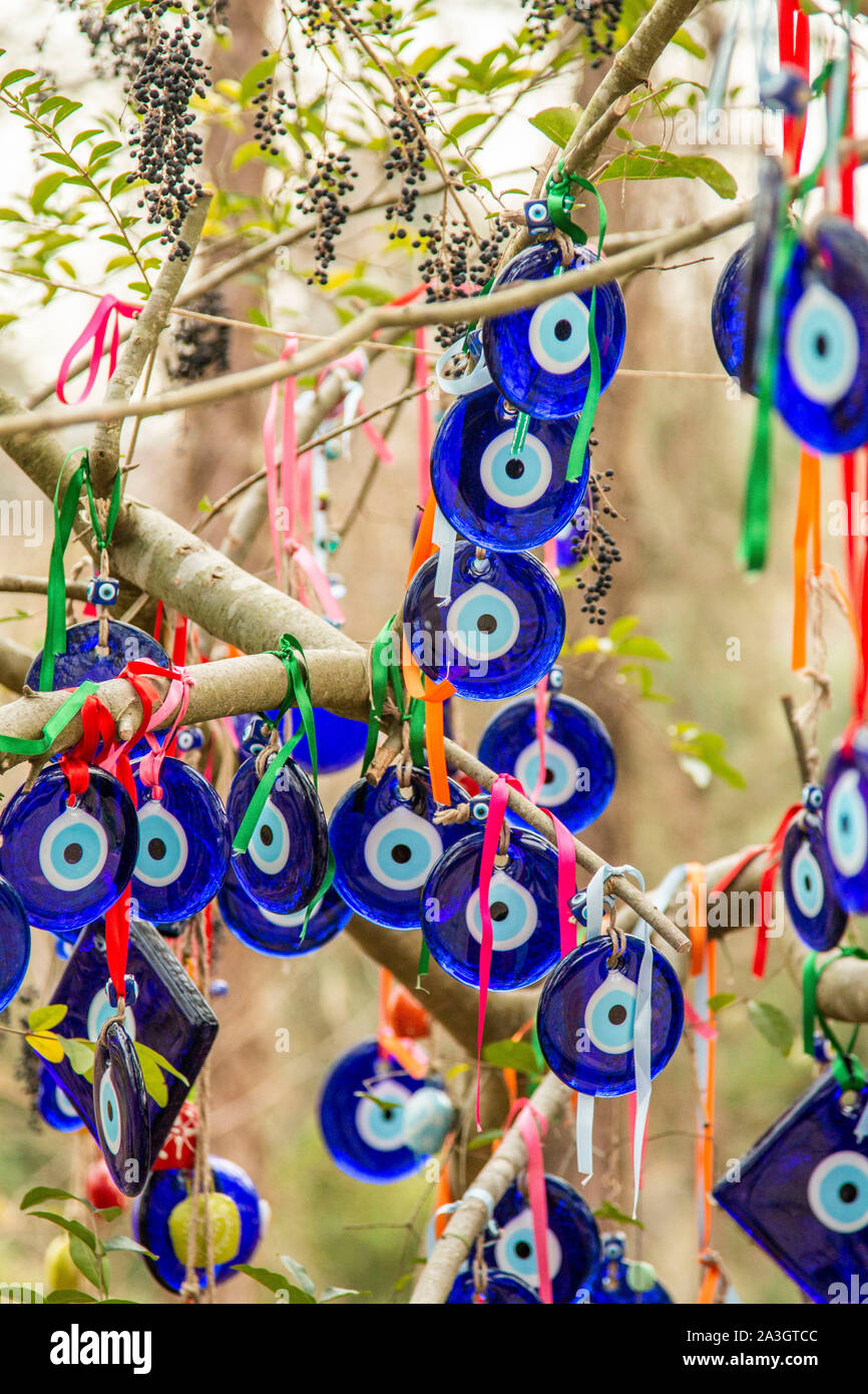 The branches of the old tree decorated with the eye-shaped amulets ...