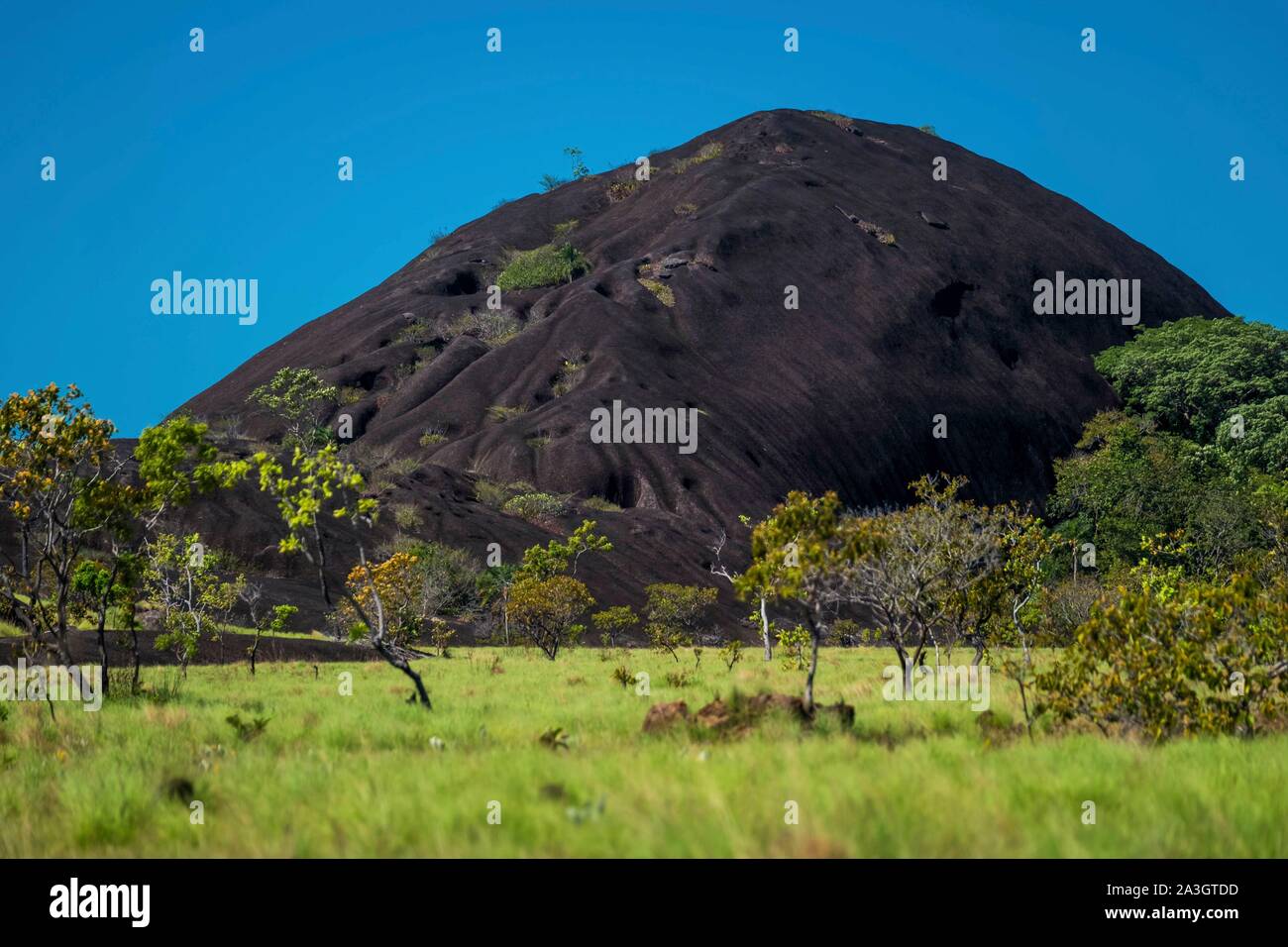 Zamuro hi-res stock photography and images - Alamy