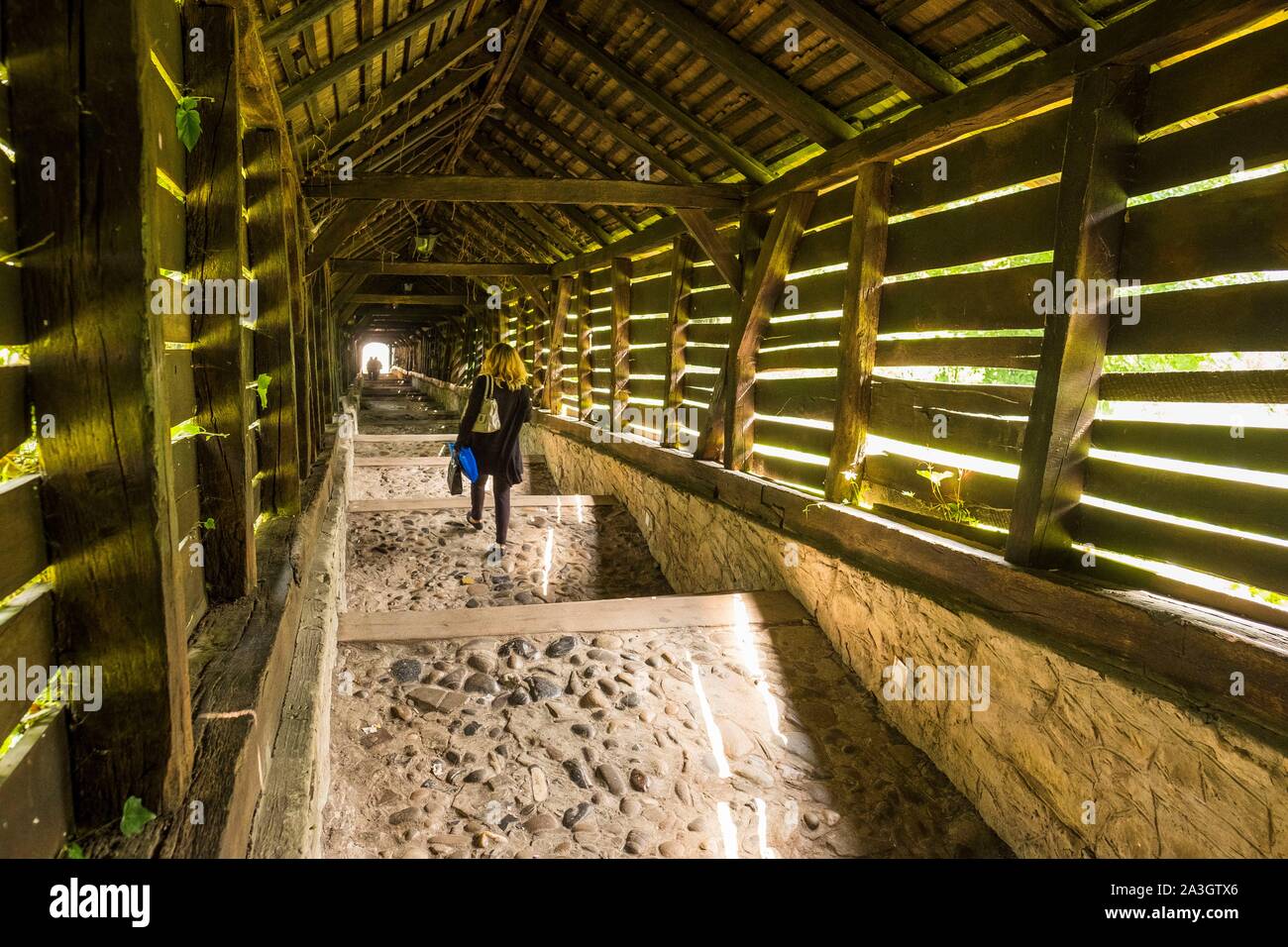 Scara scolarilor hi-res stock photography and images - Alamy