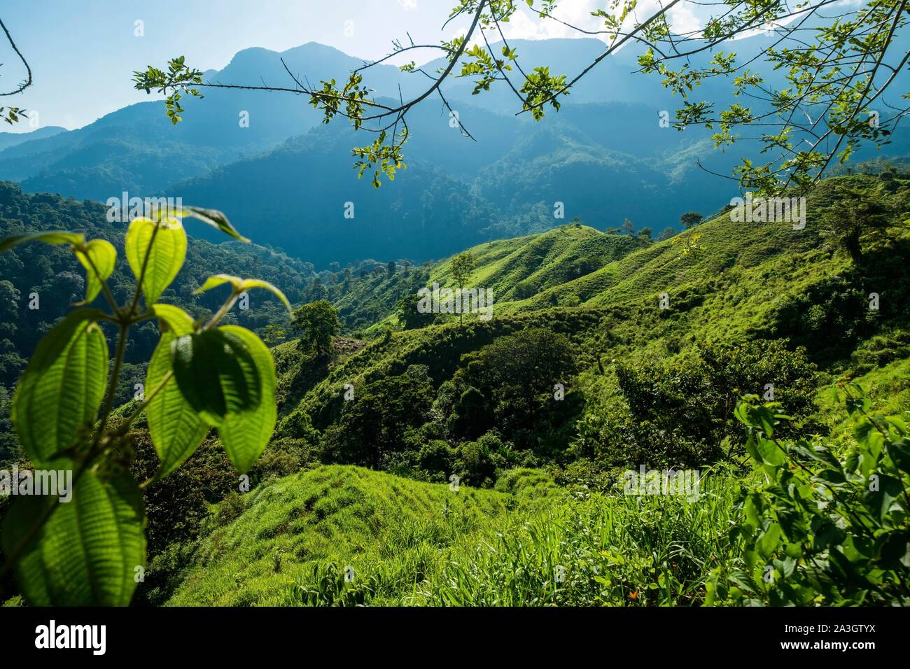 Colombia, Sierra Nevada de Santa Marta, Tayrona Park, trek of the Lost ...