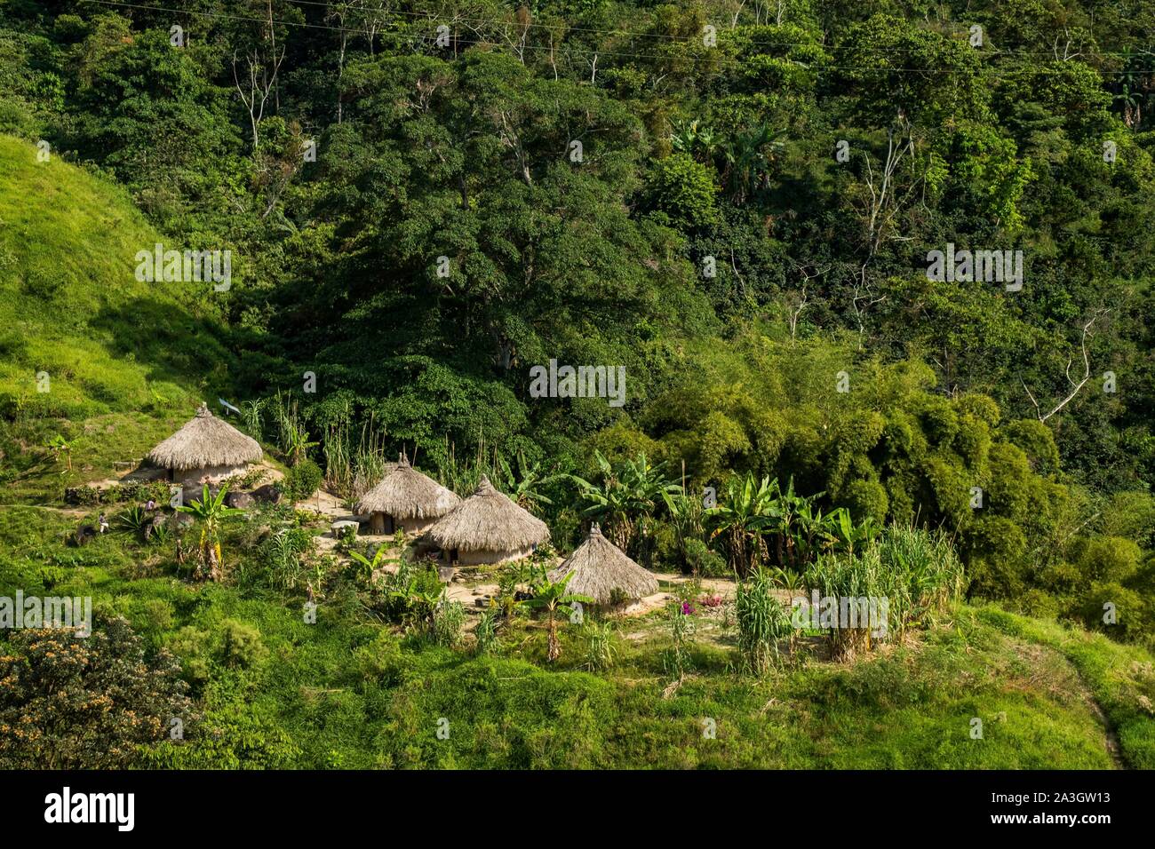 Colombia, Sierra Nevada of Santa Marta, Wiwa village above Minca Stock ...