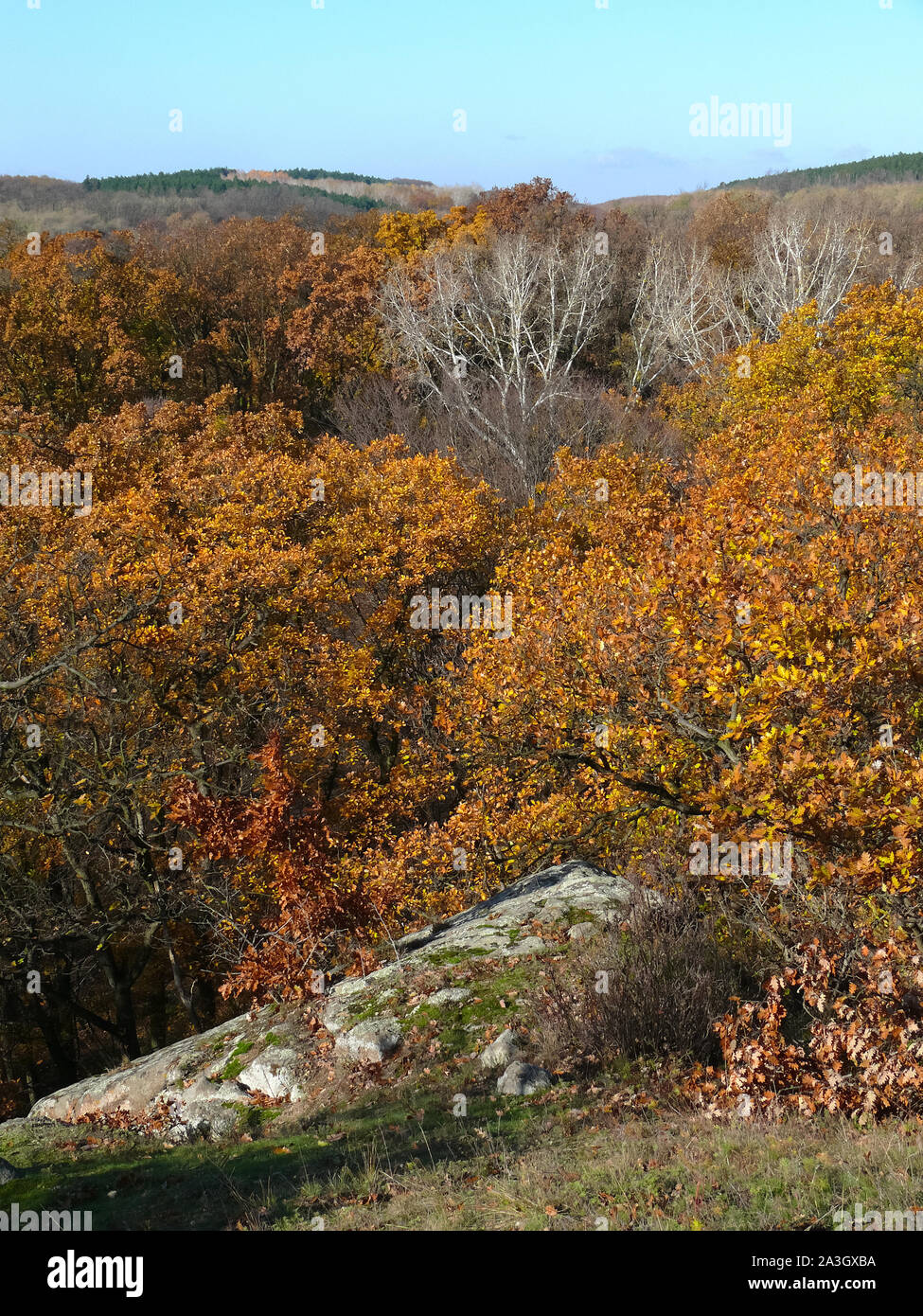 Velence hills hi-res stock photography and images - Alamy