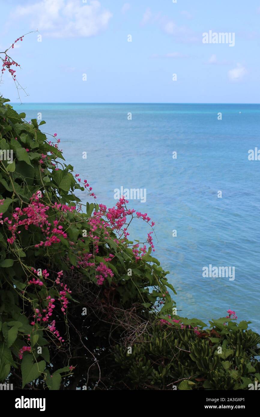 Bermuda living hi-res stock photography and images - Alamy