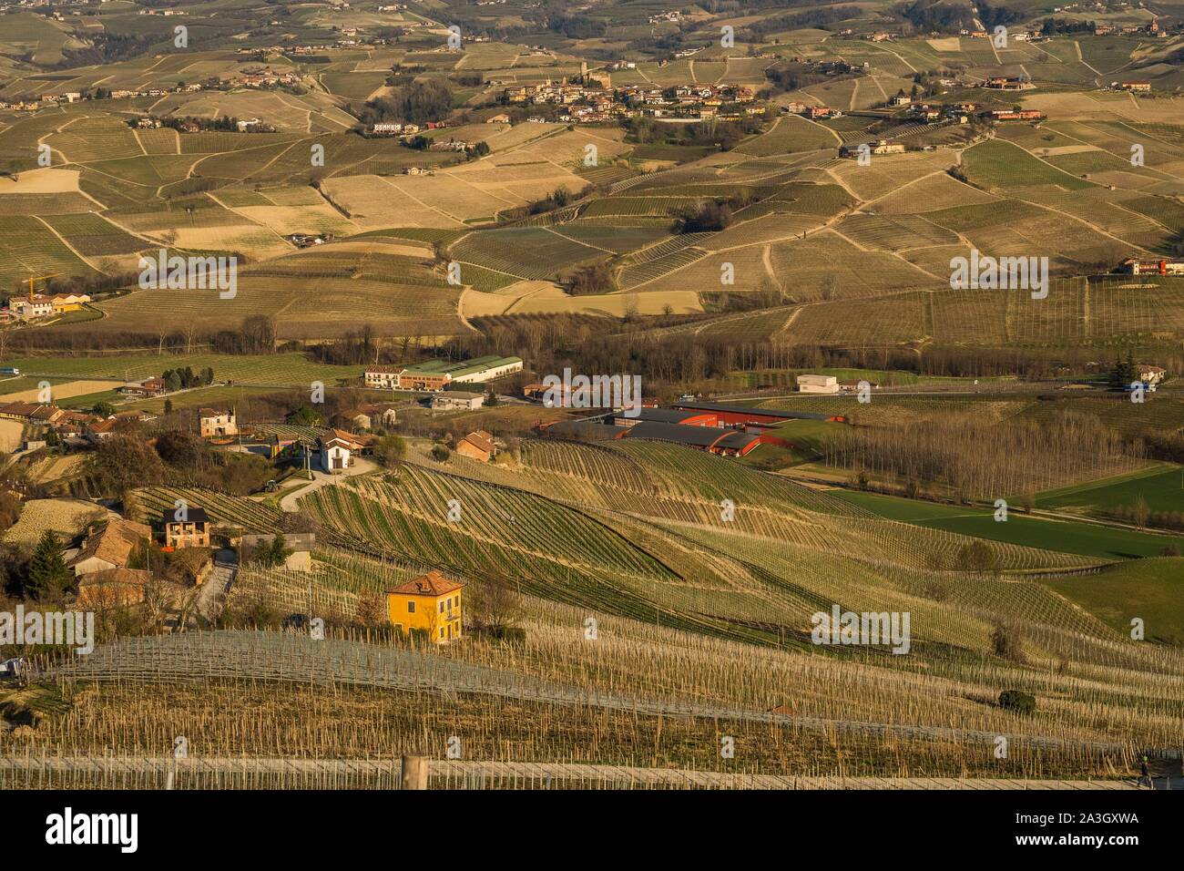 Italy, Piedmont, Province of Cuneo, The Langhe Wine Region, listed as ...