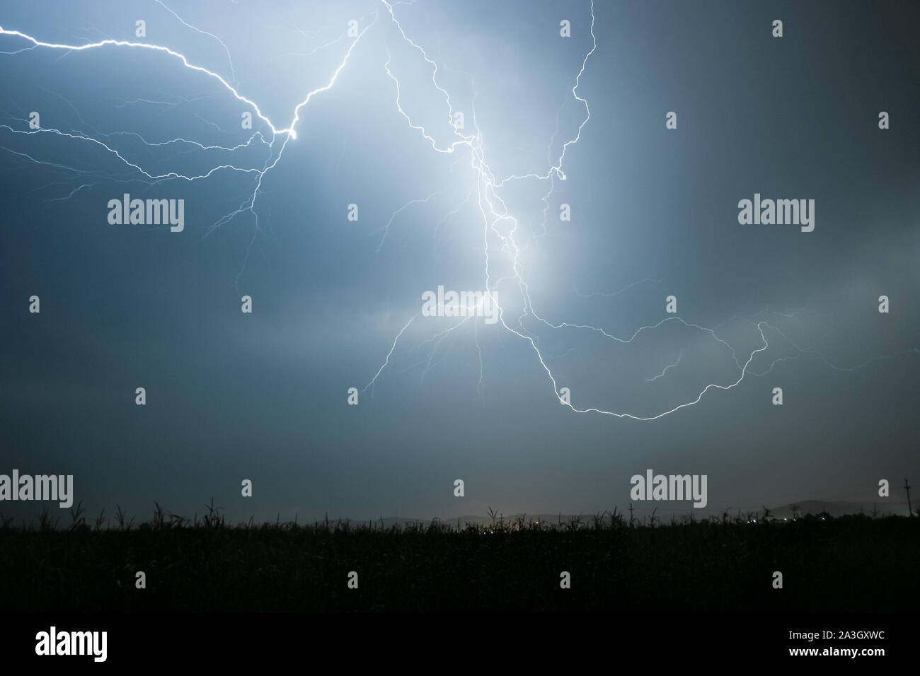 Lightning in the sky over the corn fields over Transylvania, Romania ...