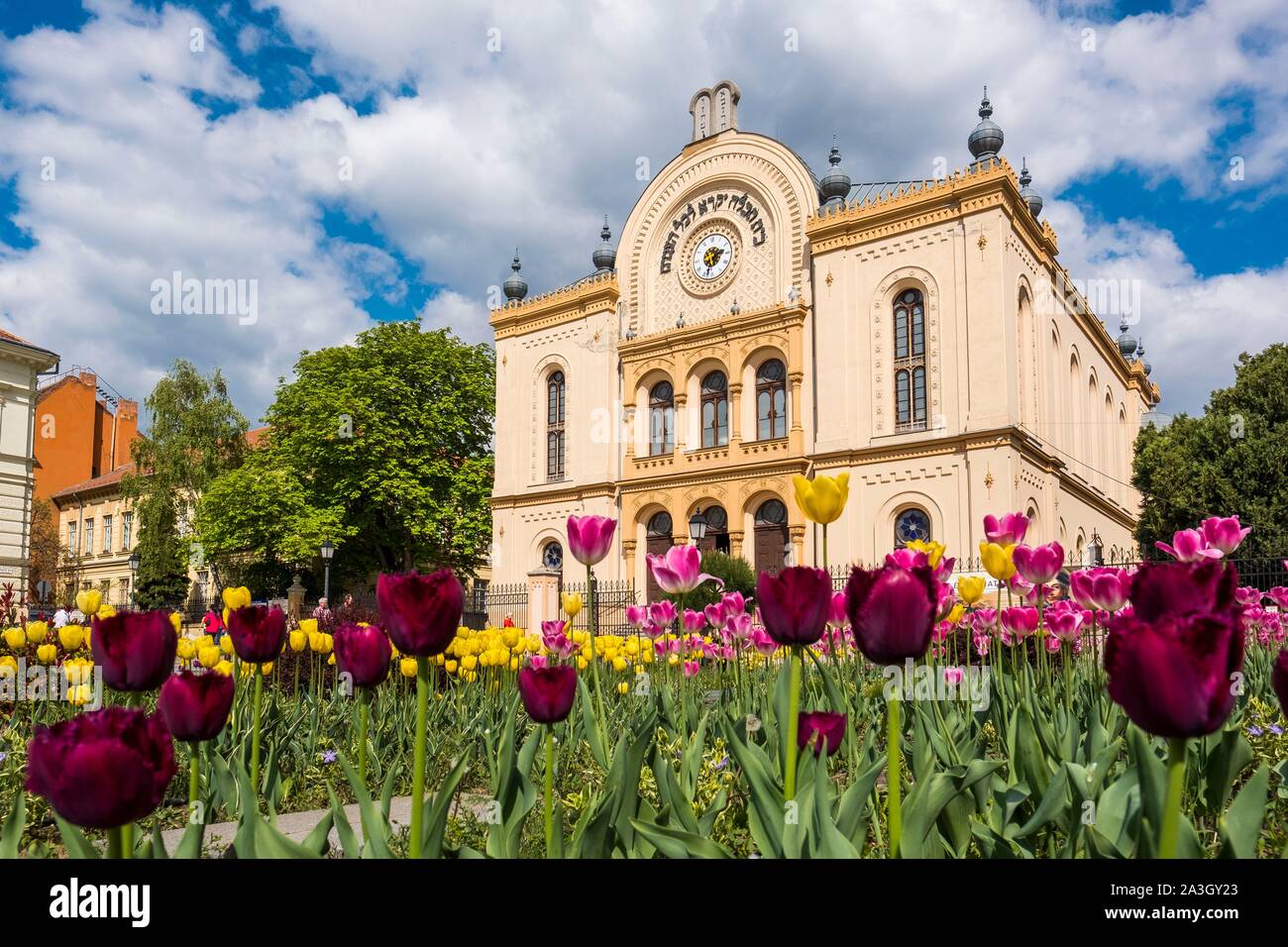 Hungary, Southern Transdanubia, Baranya County, Pecs, Hungary, Southern ...