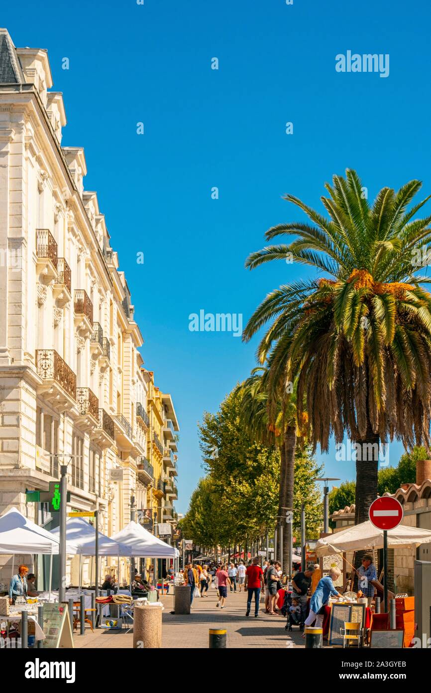 France, Pyrenees Orientales, Perpignan, flea market quai Pierre Bourdan ...