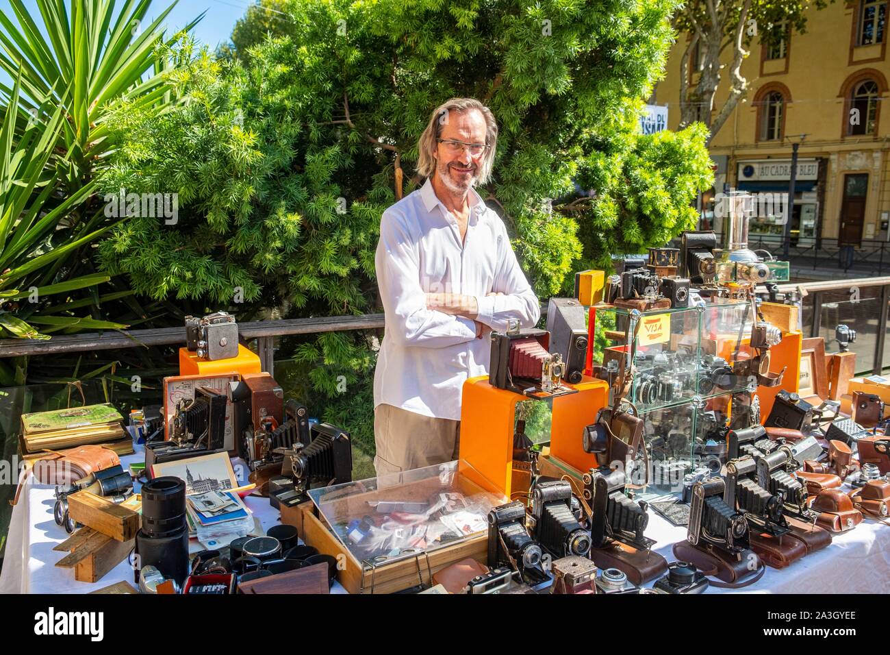 France, Pyrenees Orientales, Perpignan, flea market quai Pierre Bourdan ...