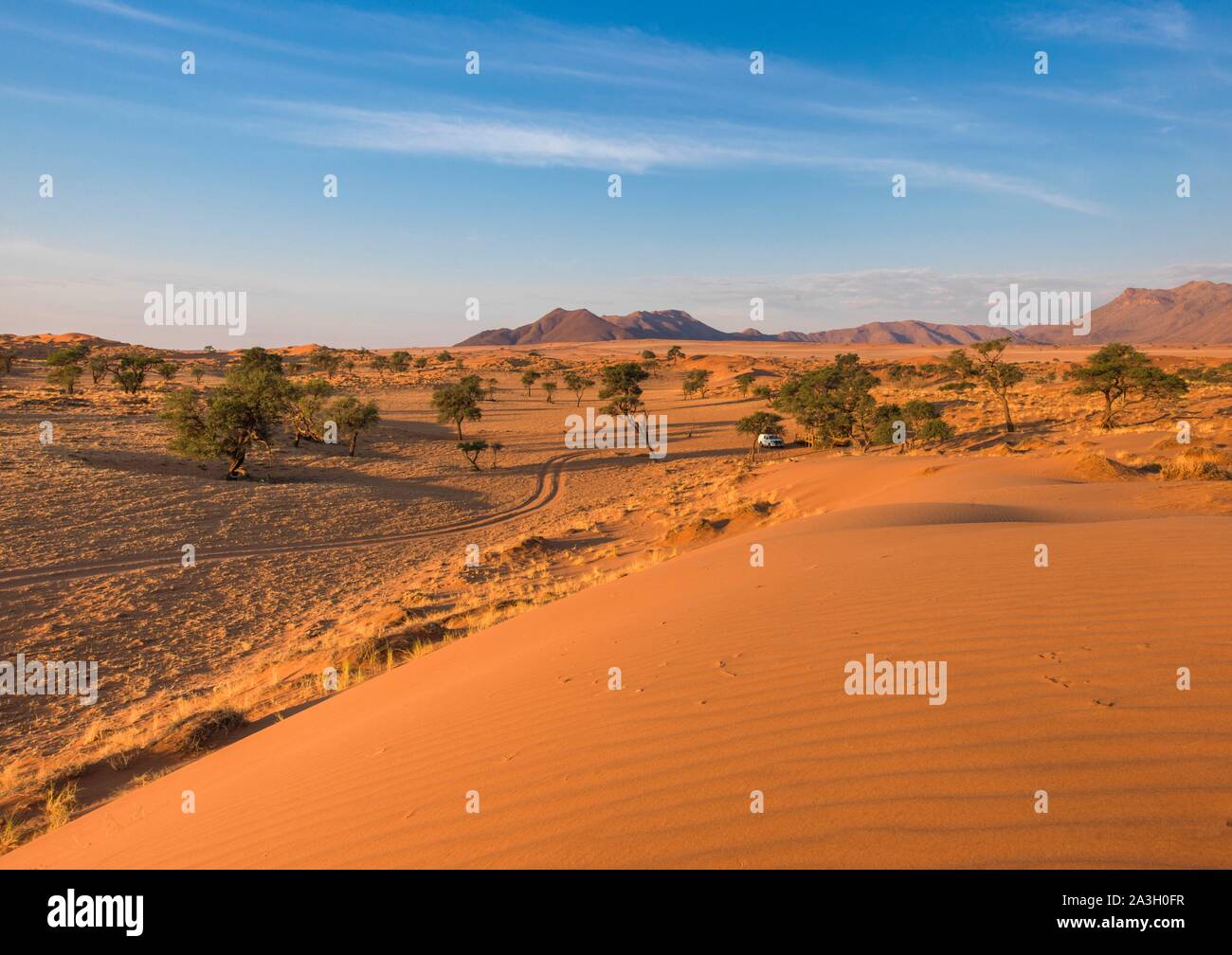 Namibia, Hardap province, Namibrand nature reserve, red sand dunes ...