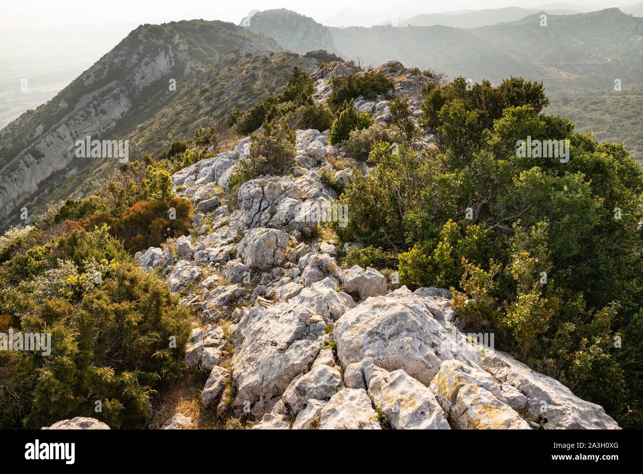 France, Bouche du Rhone, Saint Remy de Provence, Alpilles mountains ...