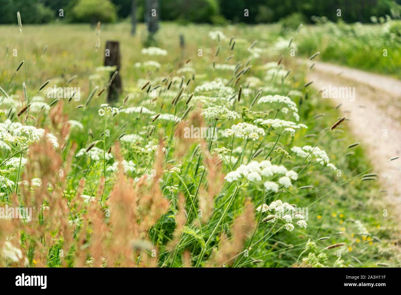 Marsac en livradois hi-res stock photography and images - Alamy