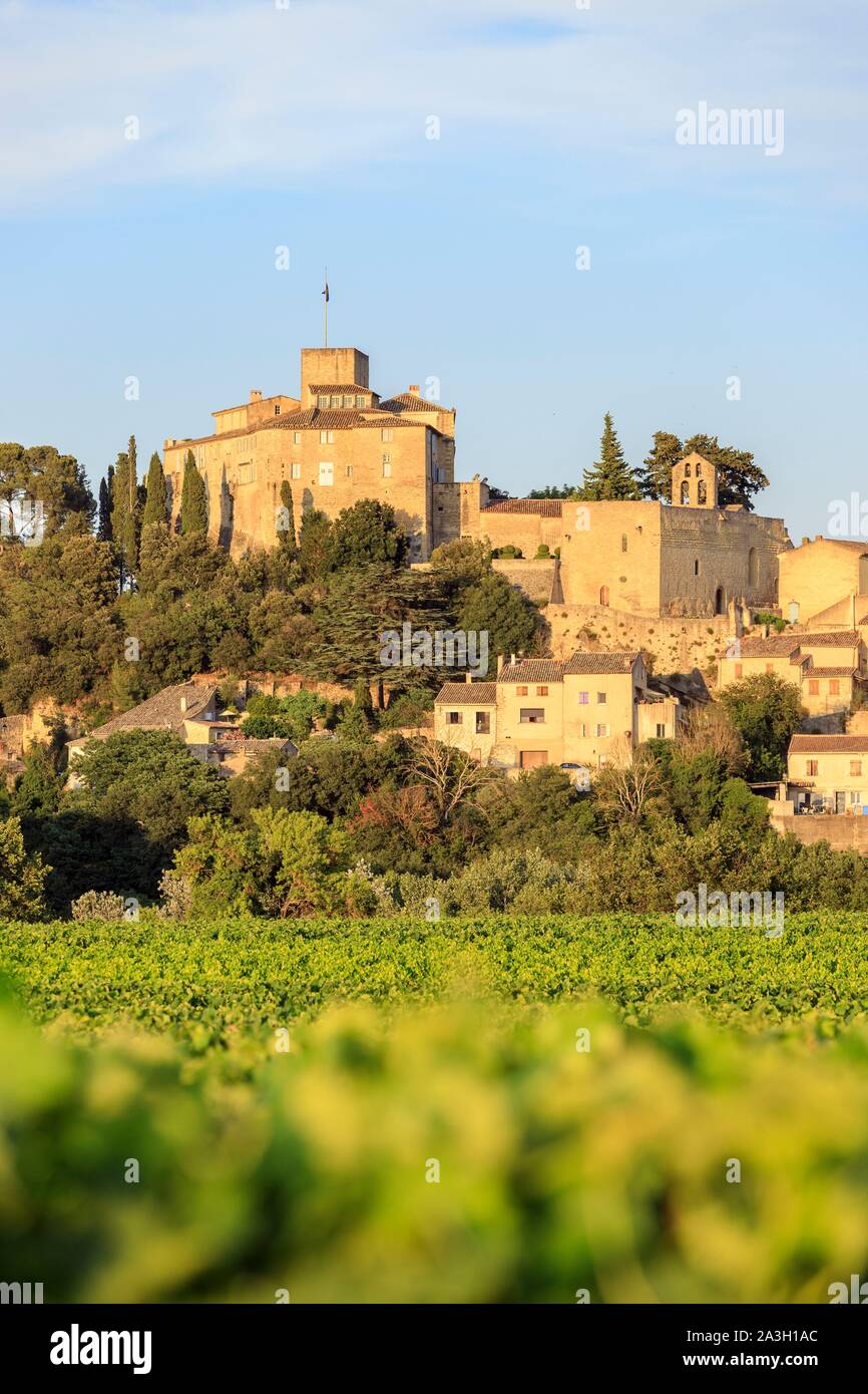 France, Vaucluse, regional natural reserve of Luberon, Ansouis ...