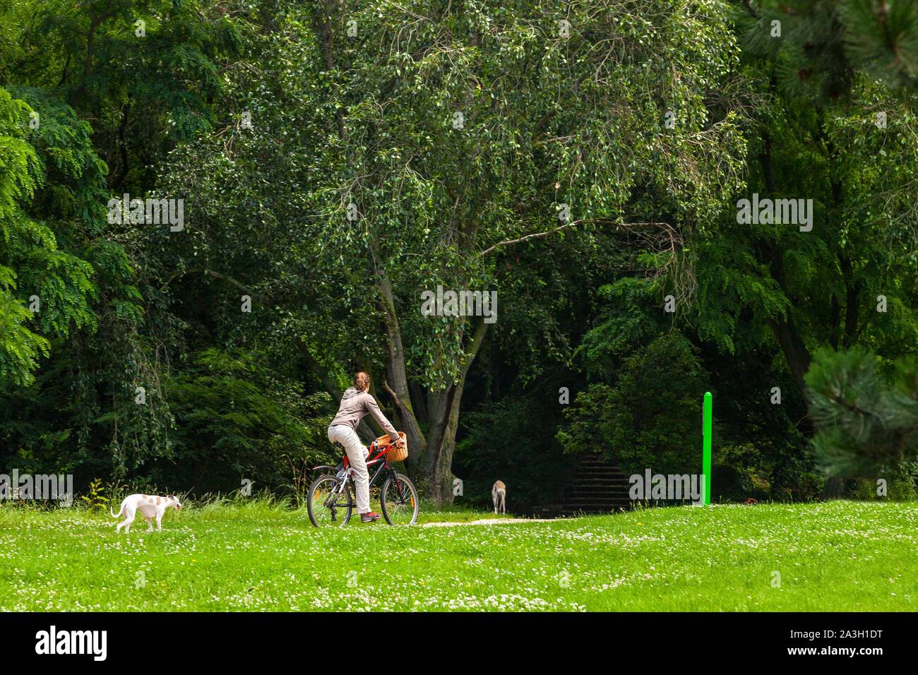 France, Seine Saint Denis, Bobigny, La Berg?re Departemental Park Stock ...