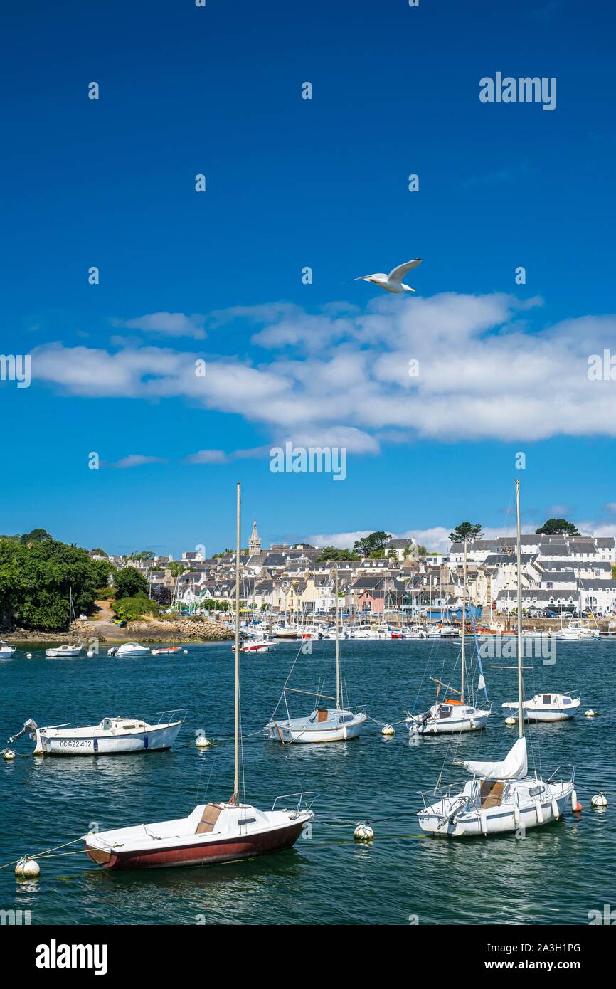 France, Finistere, Douarnenez, Treboul marina Stock Photo - Alamy