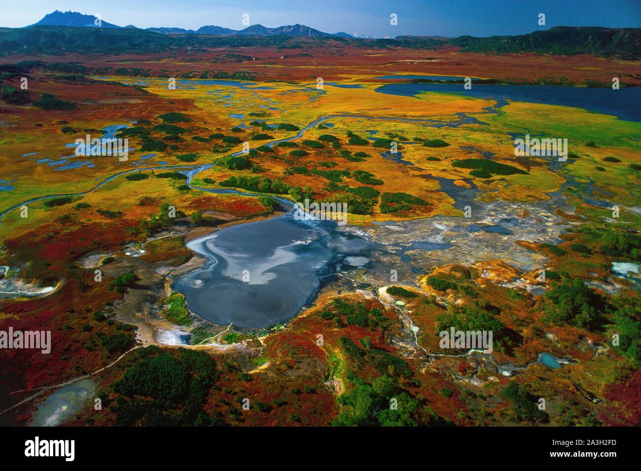 Uzon caldera bacteria hi-res stock photography and images - Alamy