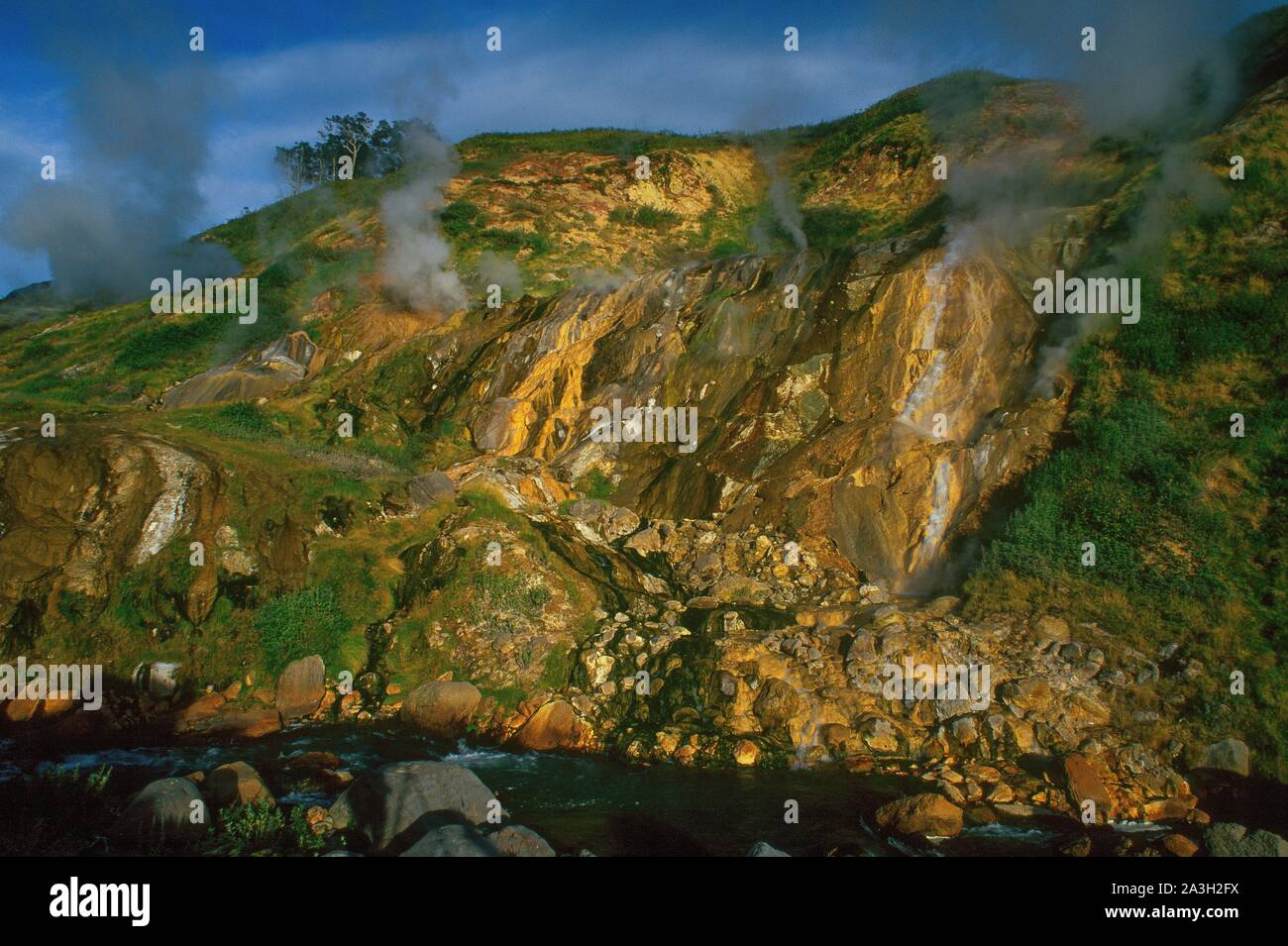 Russia, Kamchatka, Valley of Geysers Stock Photo - Alamy